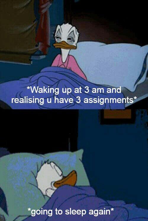 I just need my sleep | Scrolller