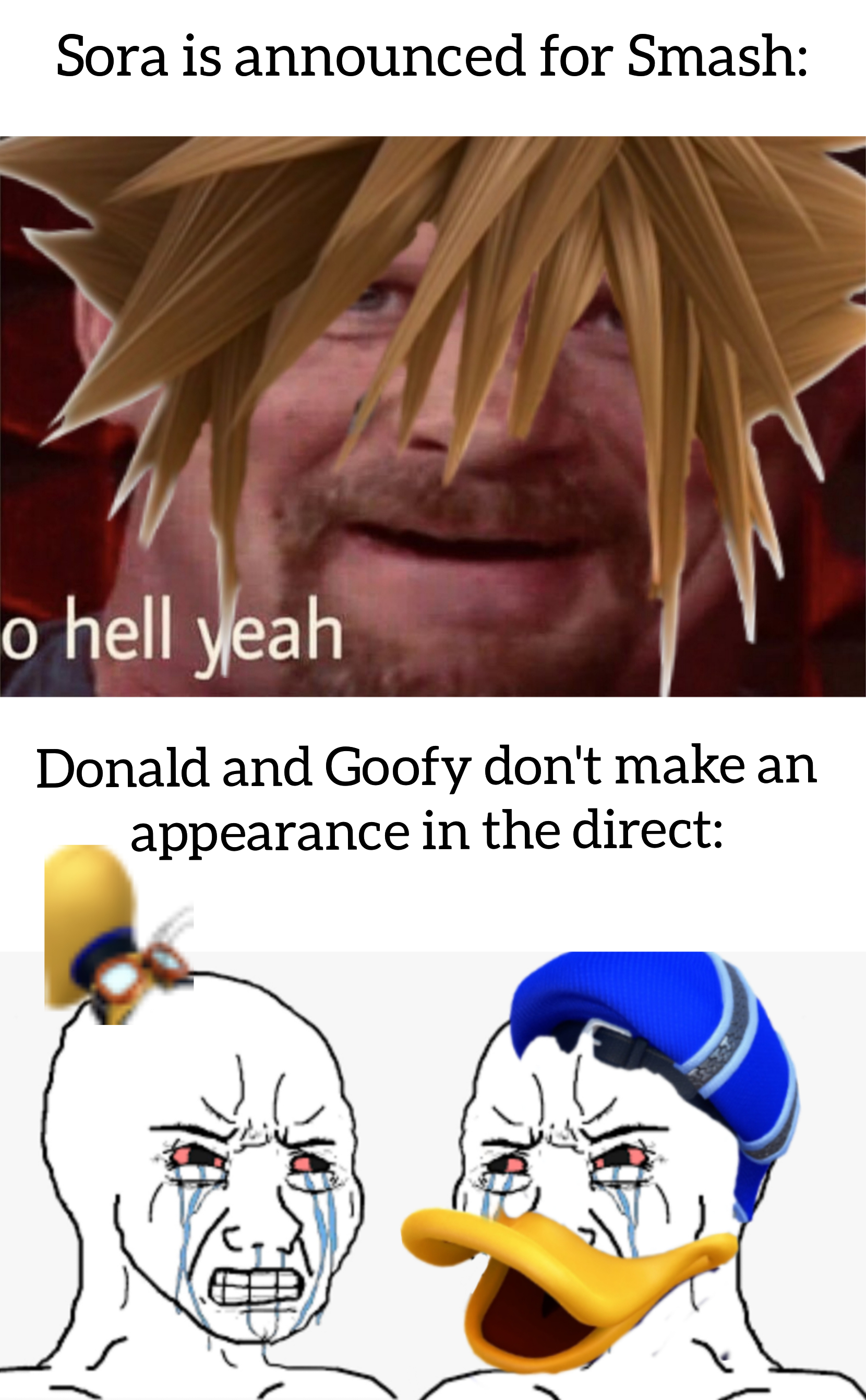 I just wanted Donald in Smash... | Scrolller