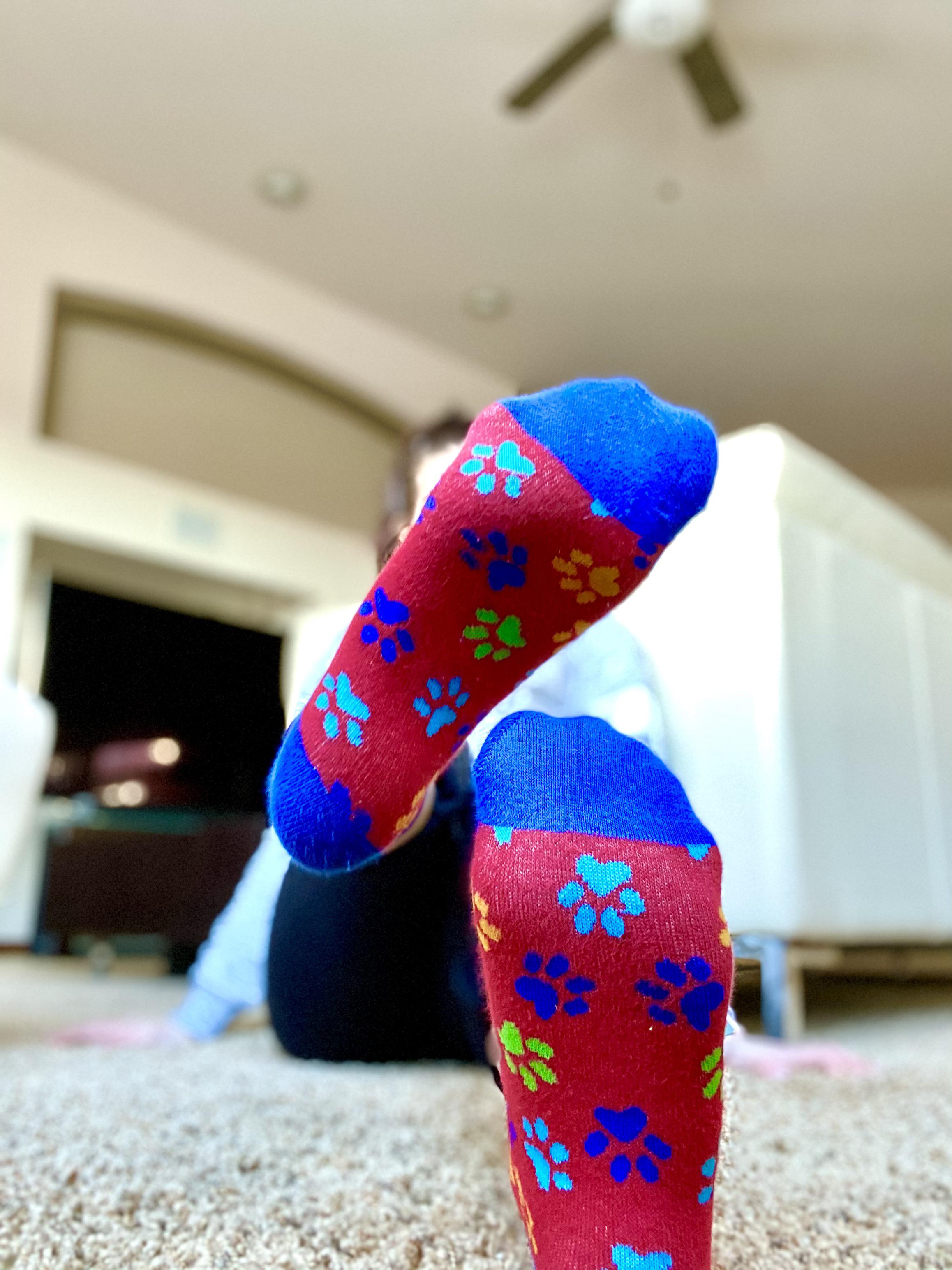 Lick, taste, touch | Scrolller