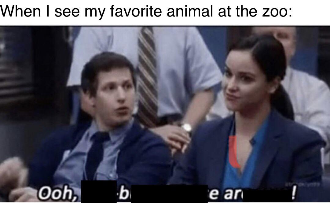 I like bears | Scrolller