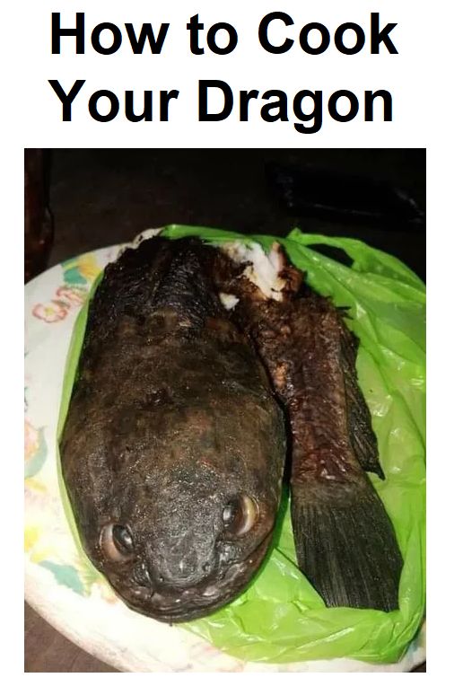 I Like My Dragons Toothless. | Scrolller