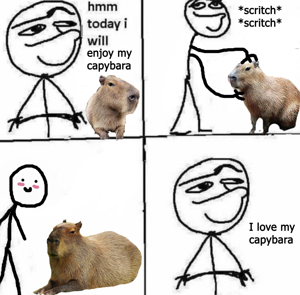 I love my capybara | Scrolller