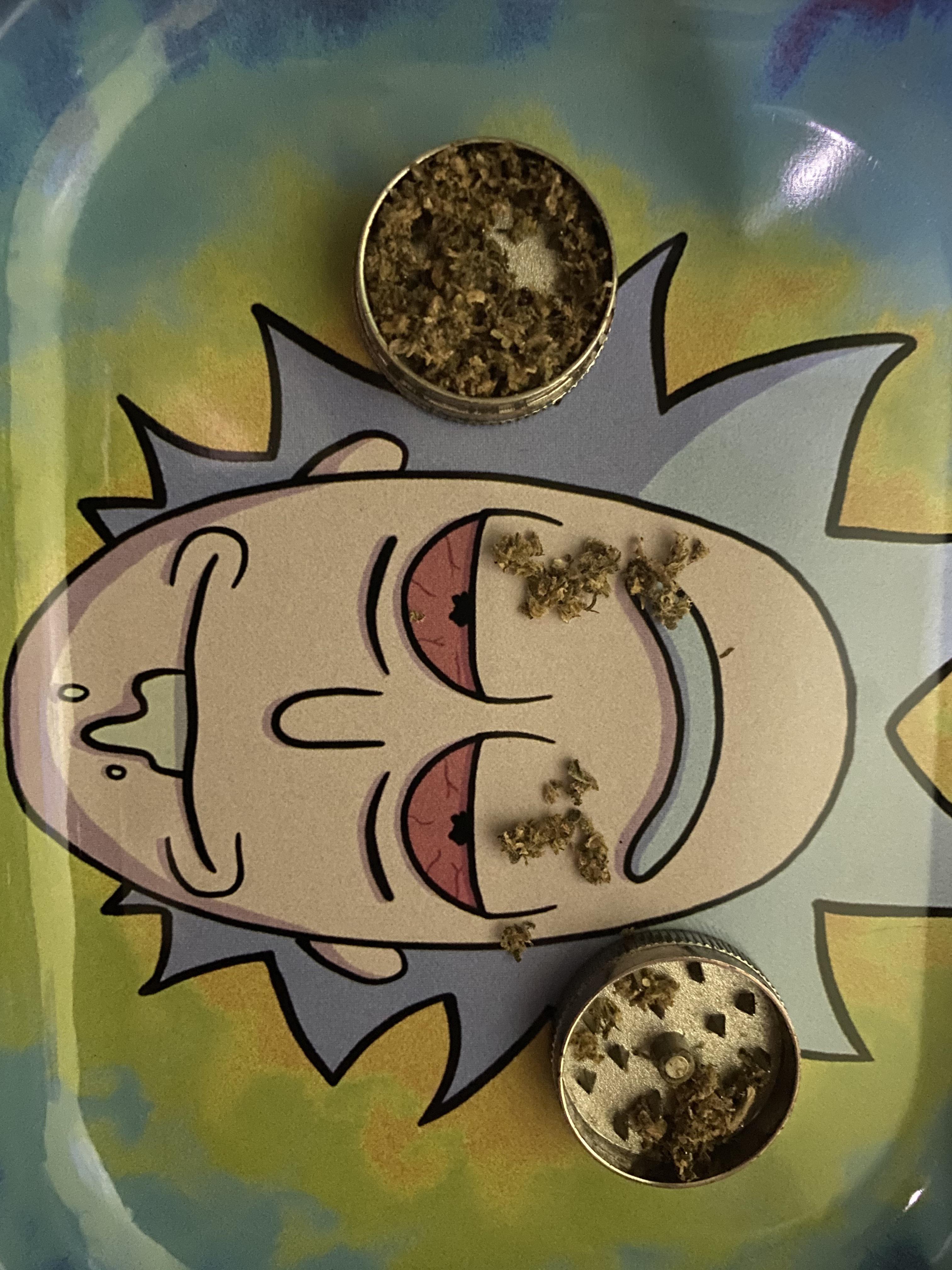 “I’m a tray, Morty!” | Scrolller