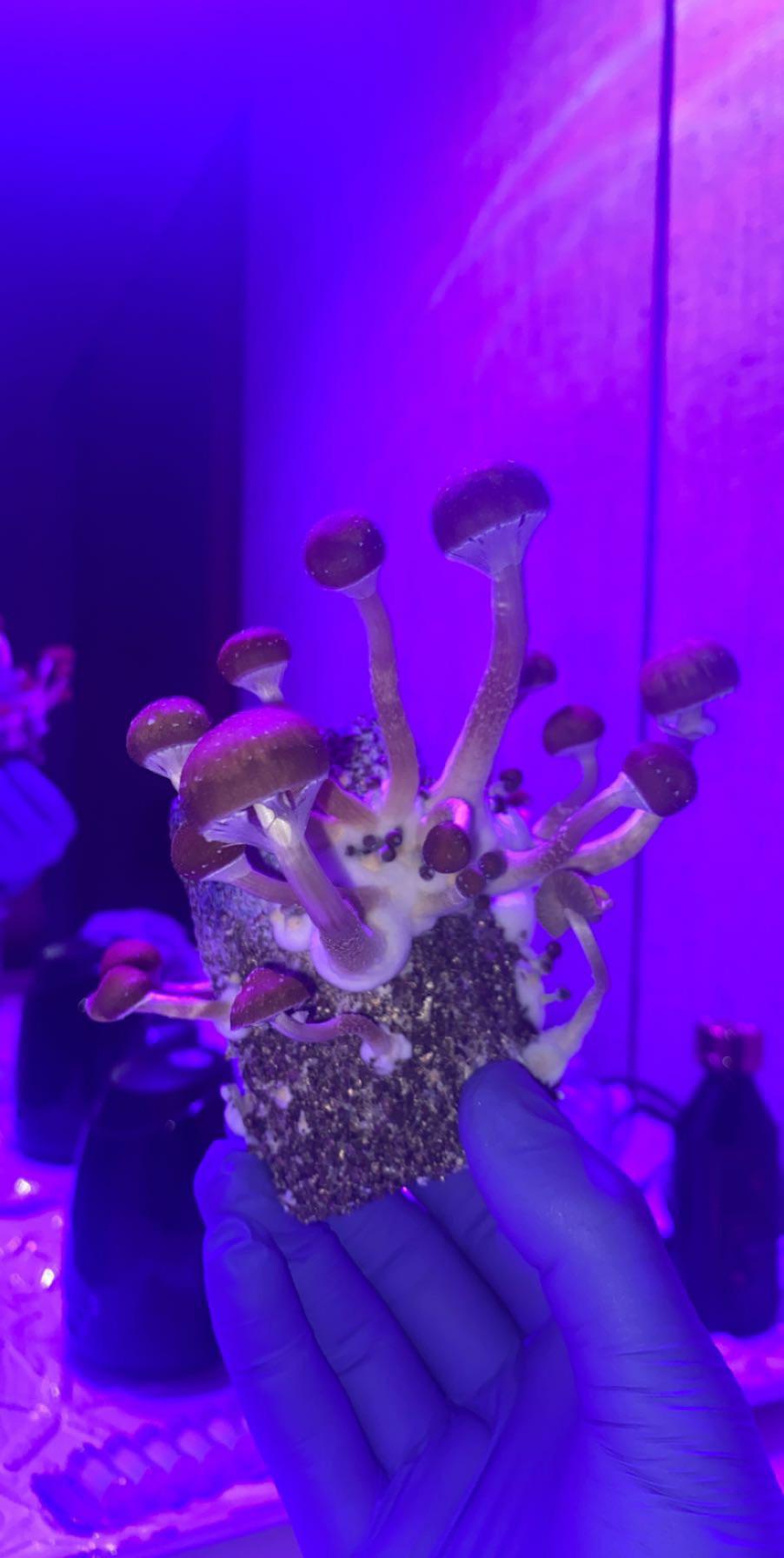 I’m hooked | Scrolller