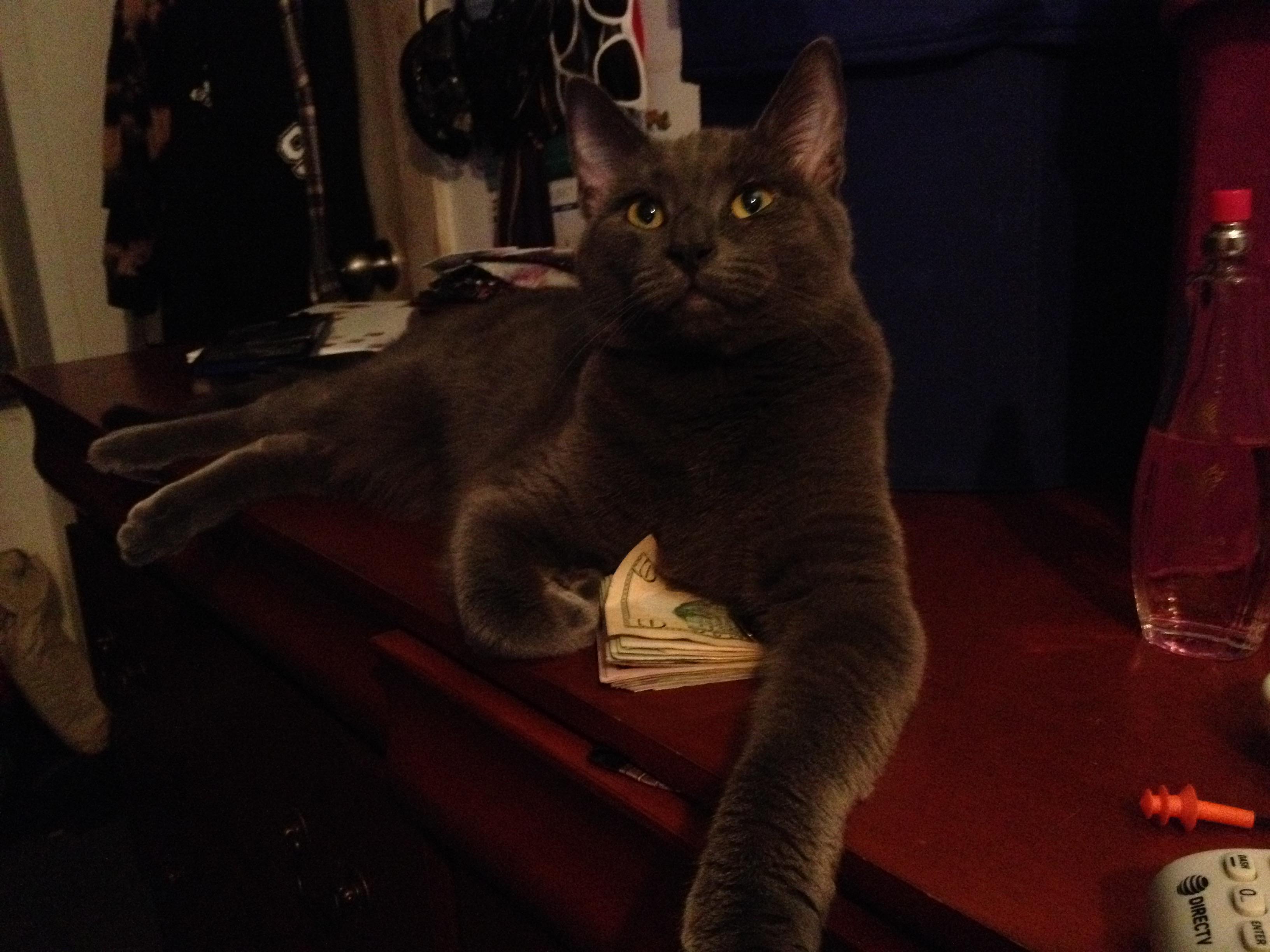 I’m rich, bitch! | Scrolller