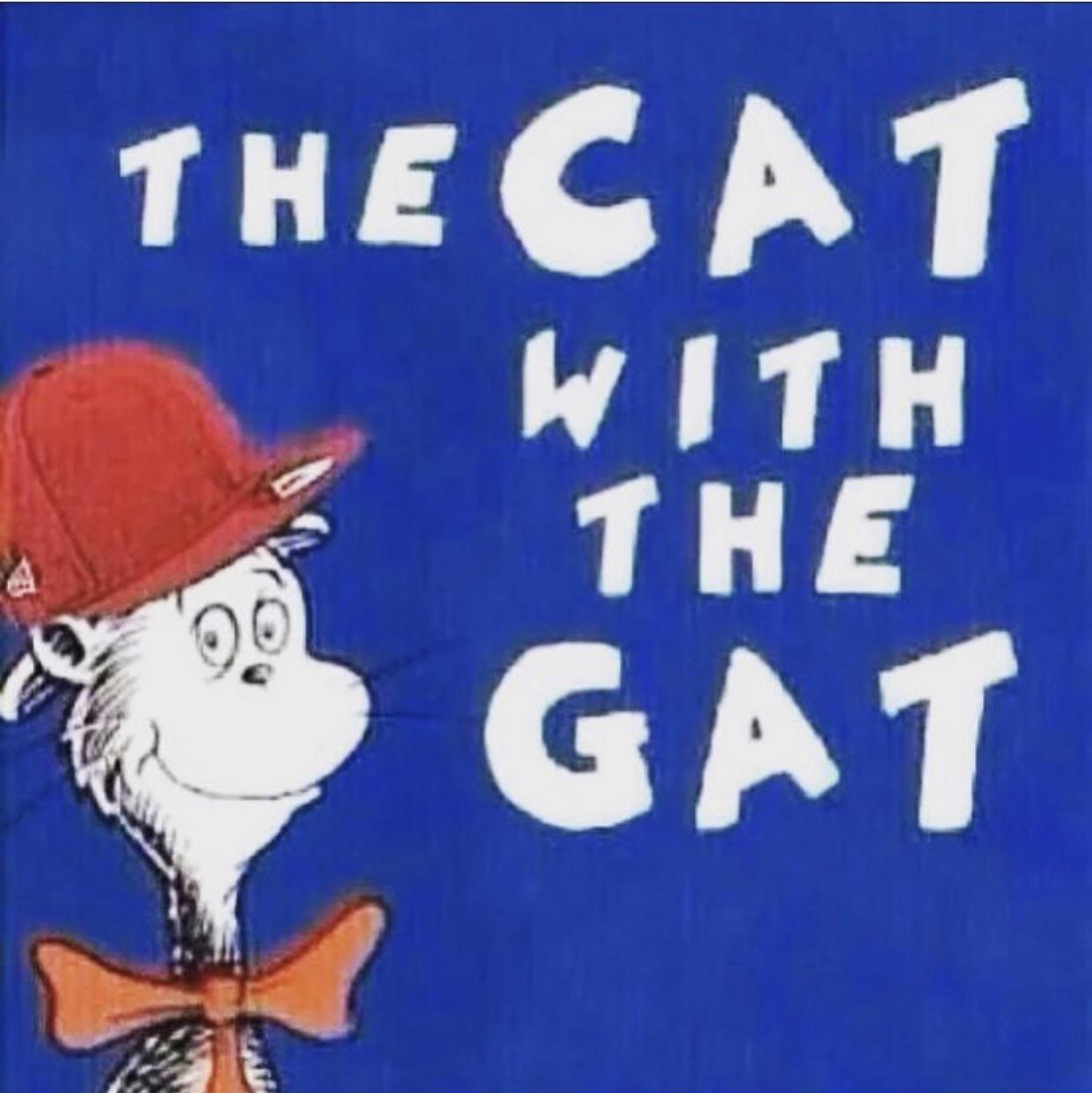 I’m writing a book | Scrolller