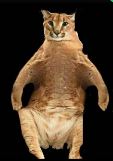 I made a Big Floppa character template! Hope y'all like it! | Scrolller