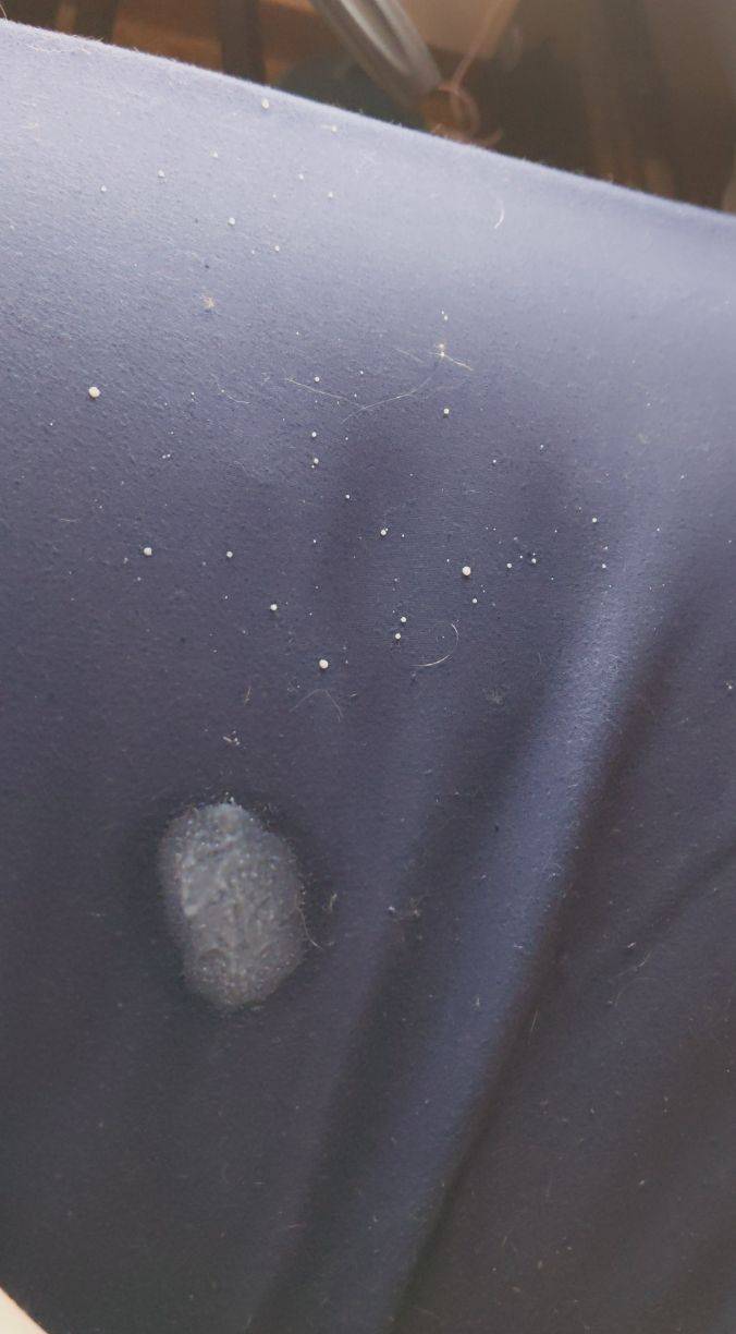 I made a cream puddle 💦 | Scrolller