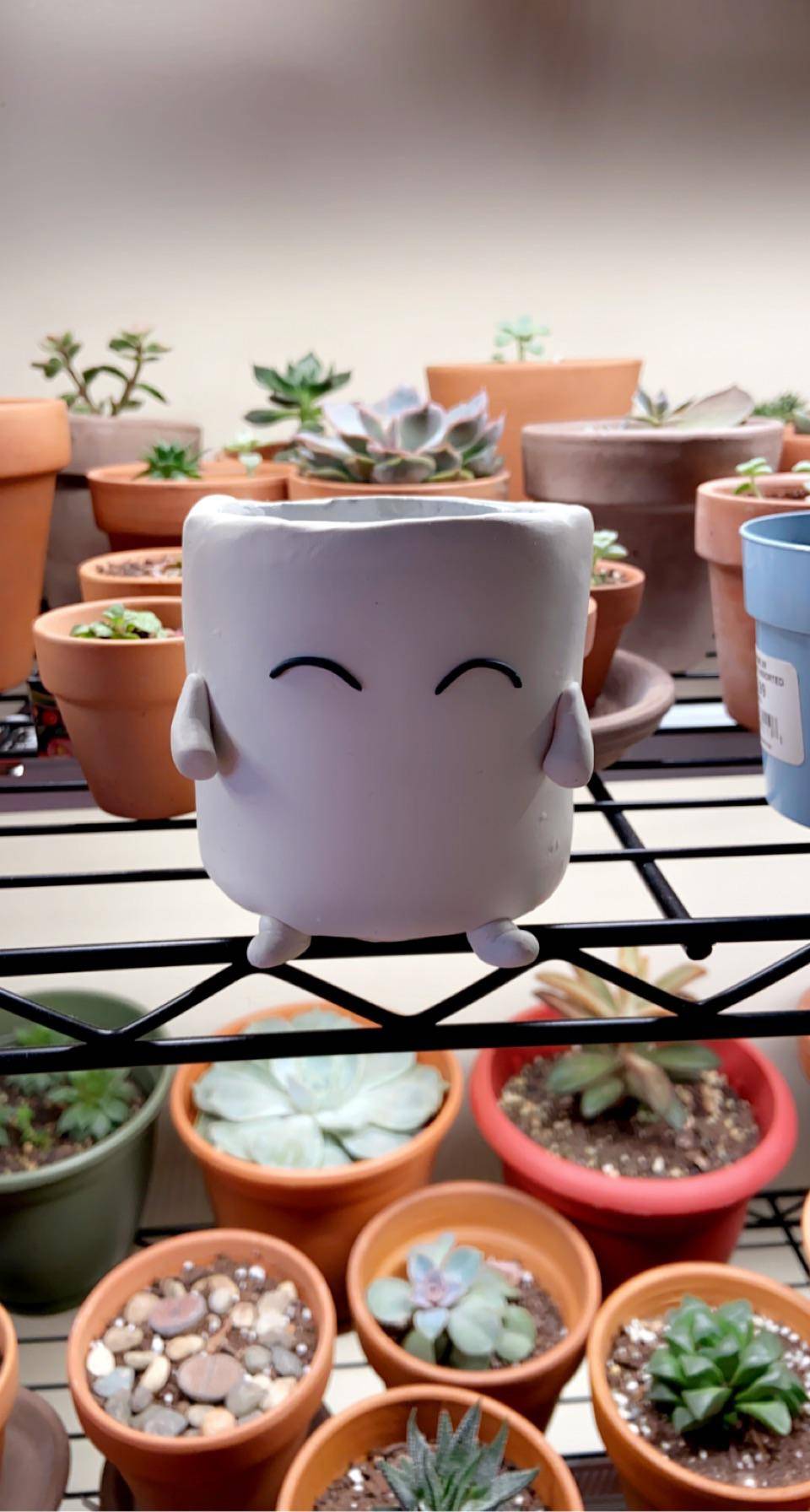 I made a happy little marshmallow flower pot! | Scrolller