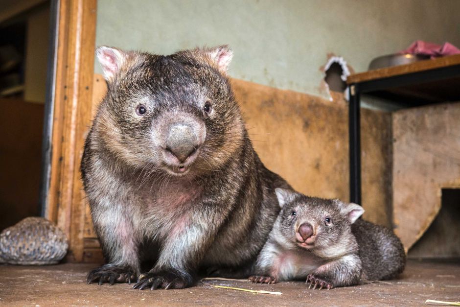 I made dis | Scrolller