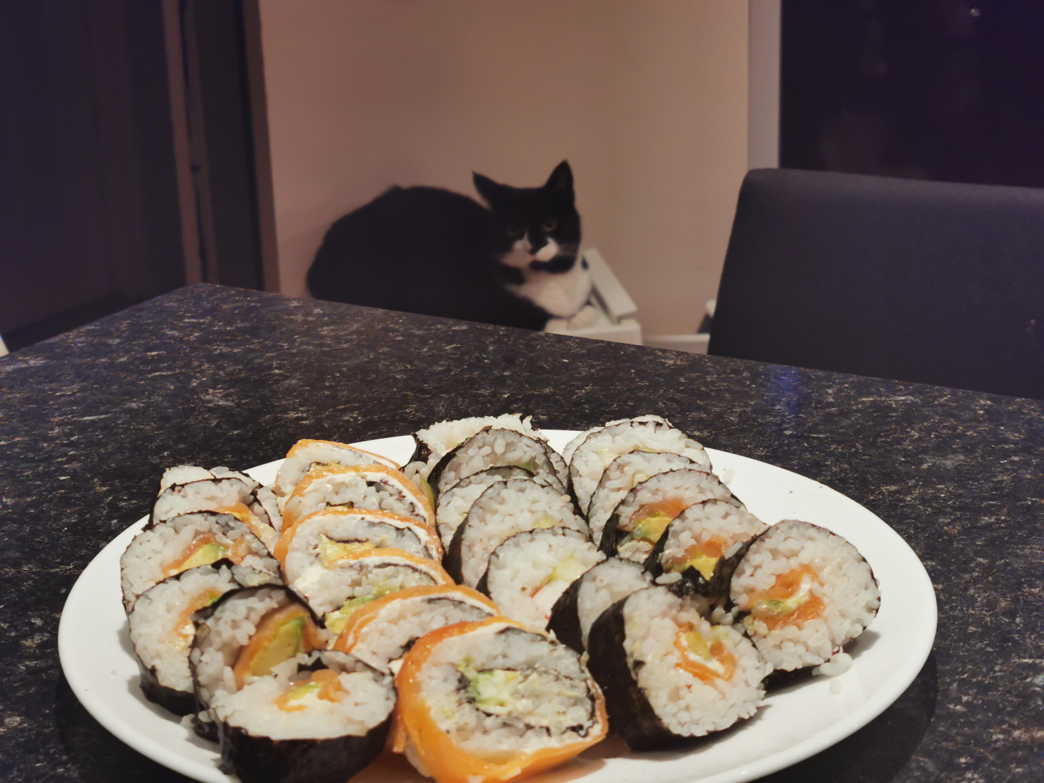 I made some late night sushi and sashimi with my cat! | Scrolller