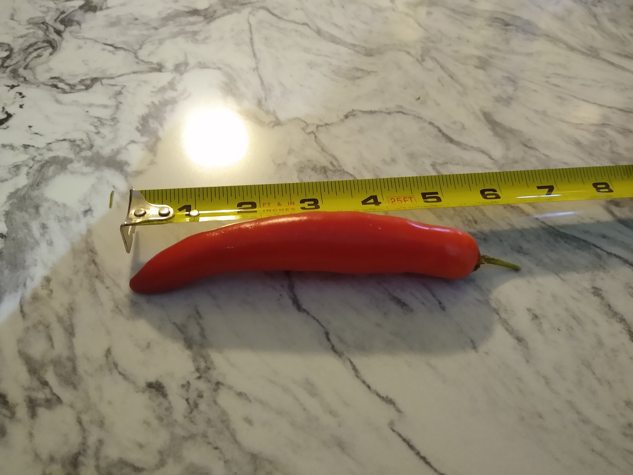 I need to figure out what pepper can you guys tell me | Scrolller