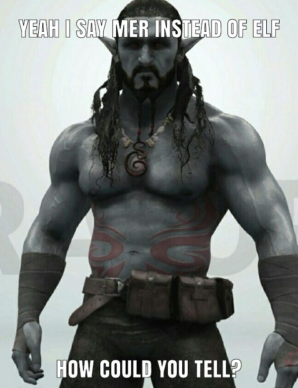 I never saw a mer say "high elf" "wood elf" or "dark elf" | Scrolller