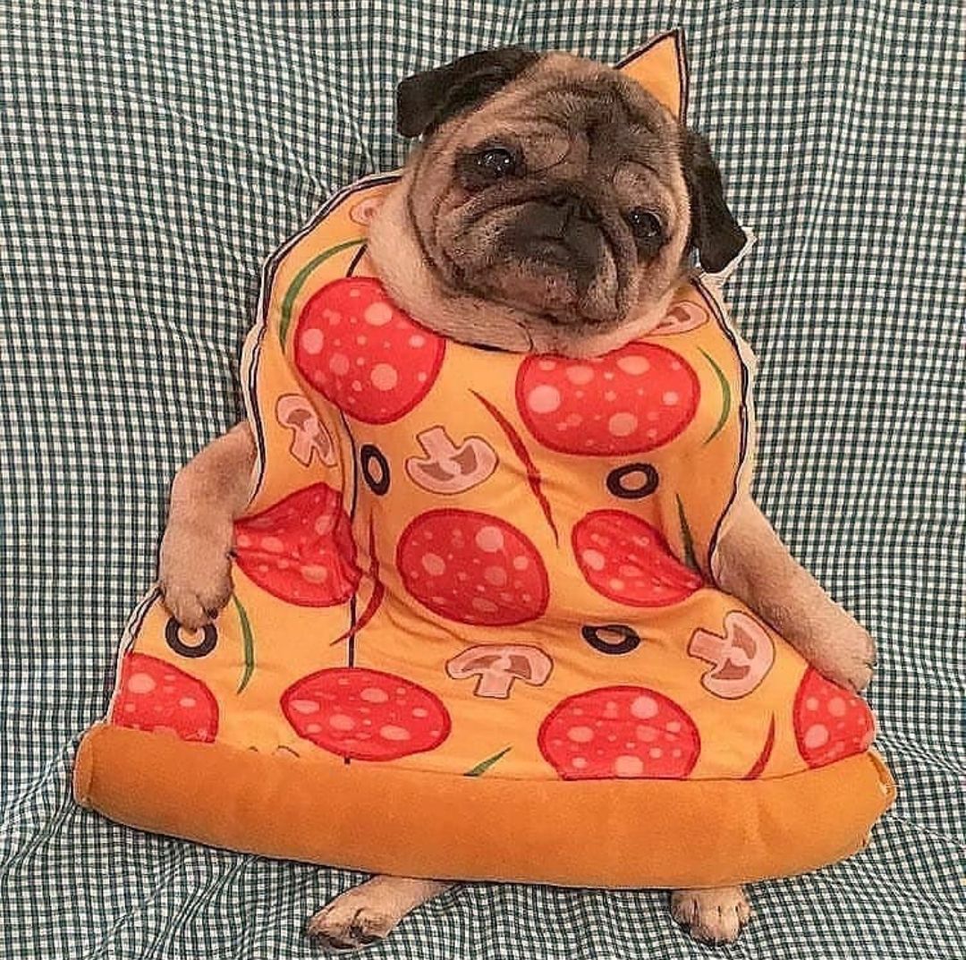 "I promise just one slice" | Scrolller