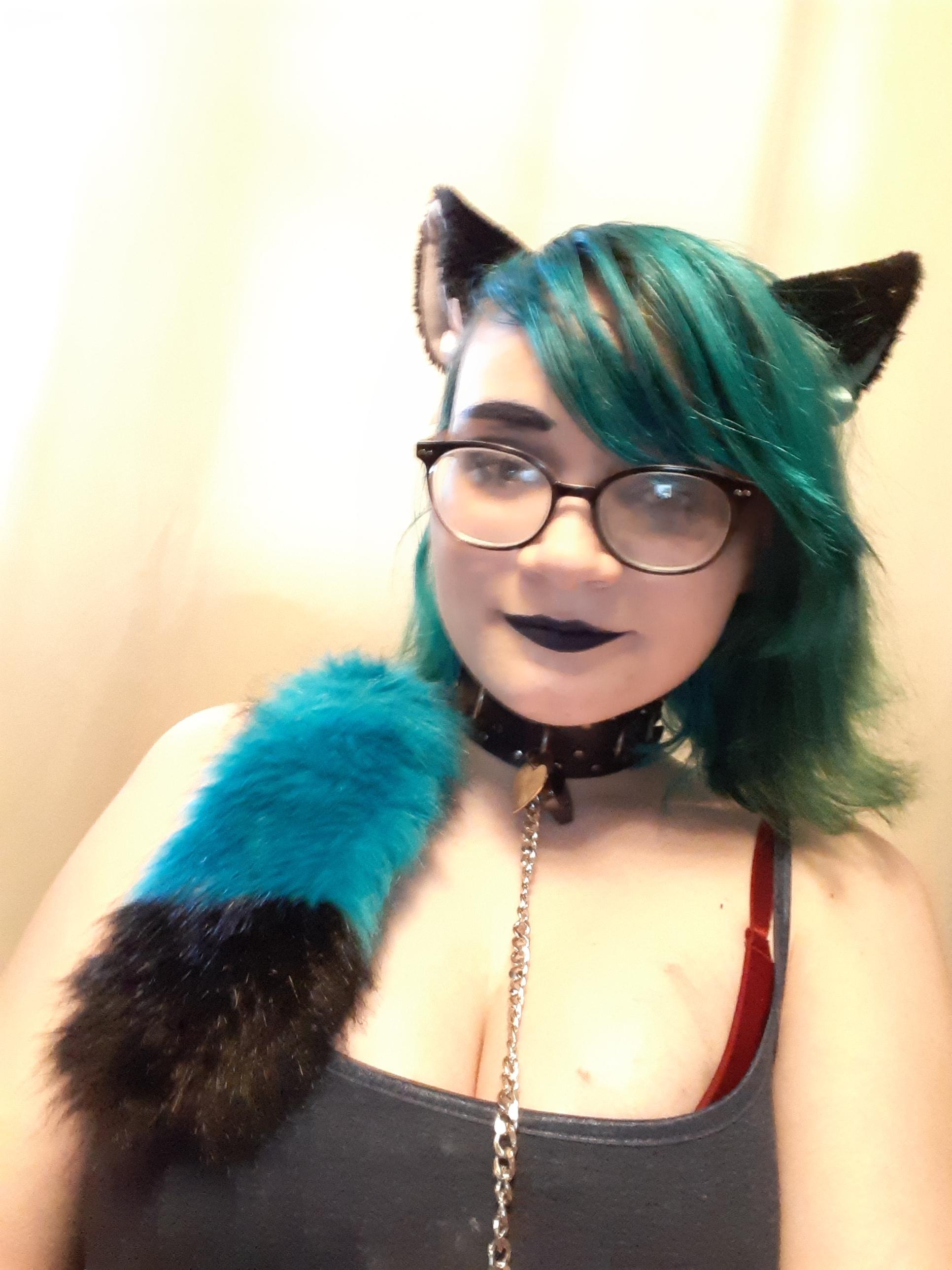 Recently got a tail too!! | Scrolller