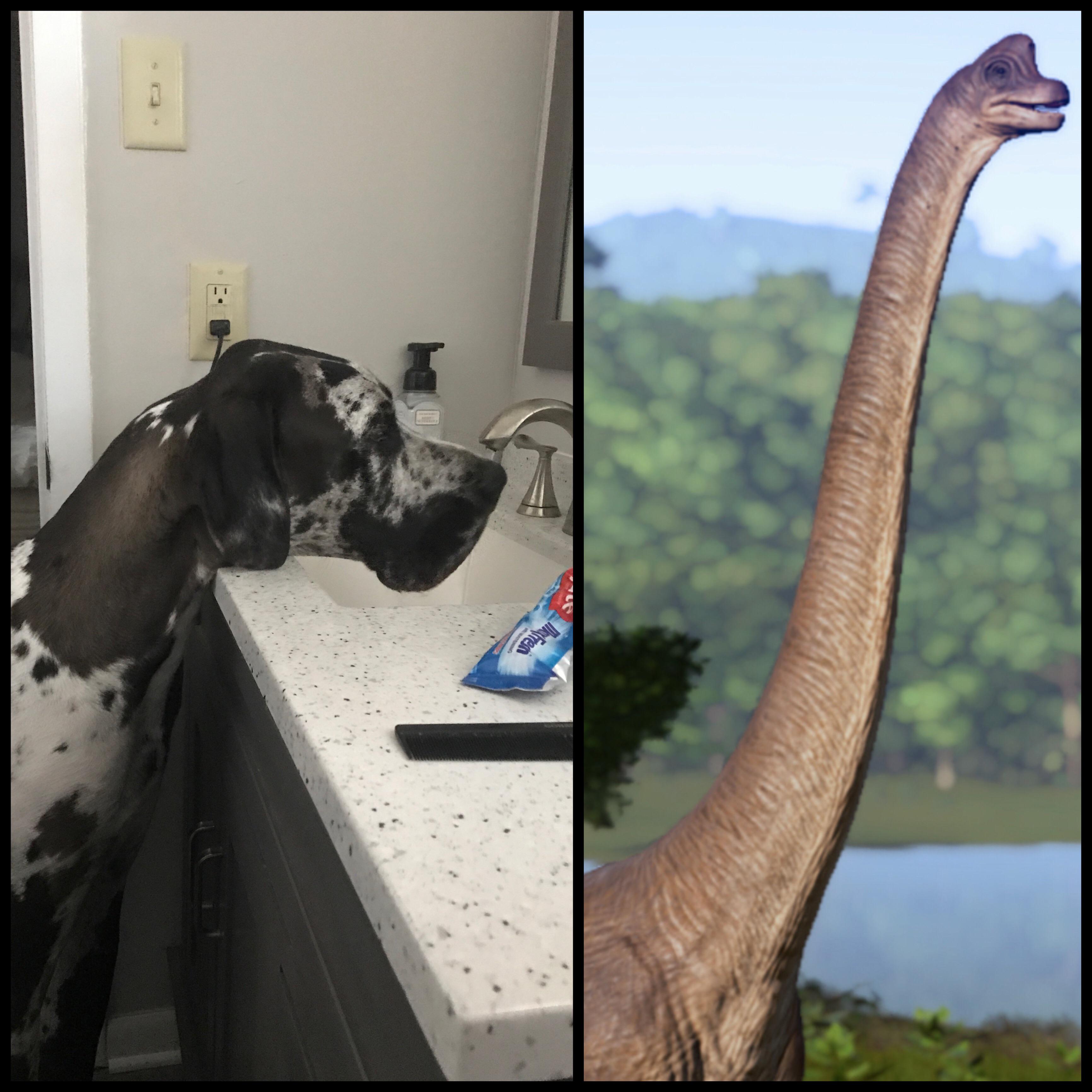 I see no difference | Scrolller