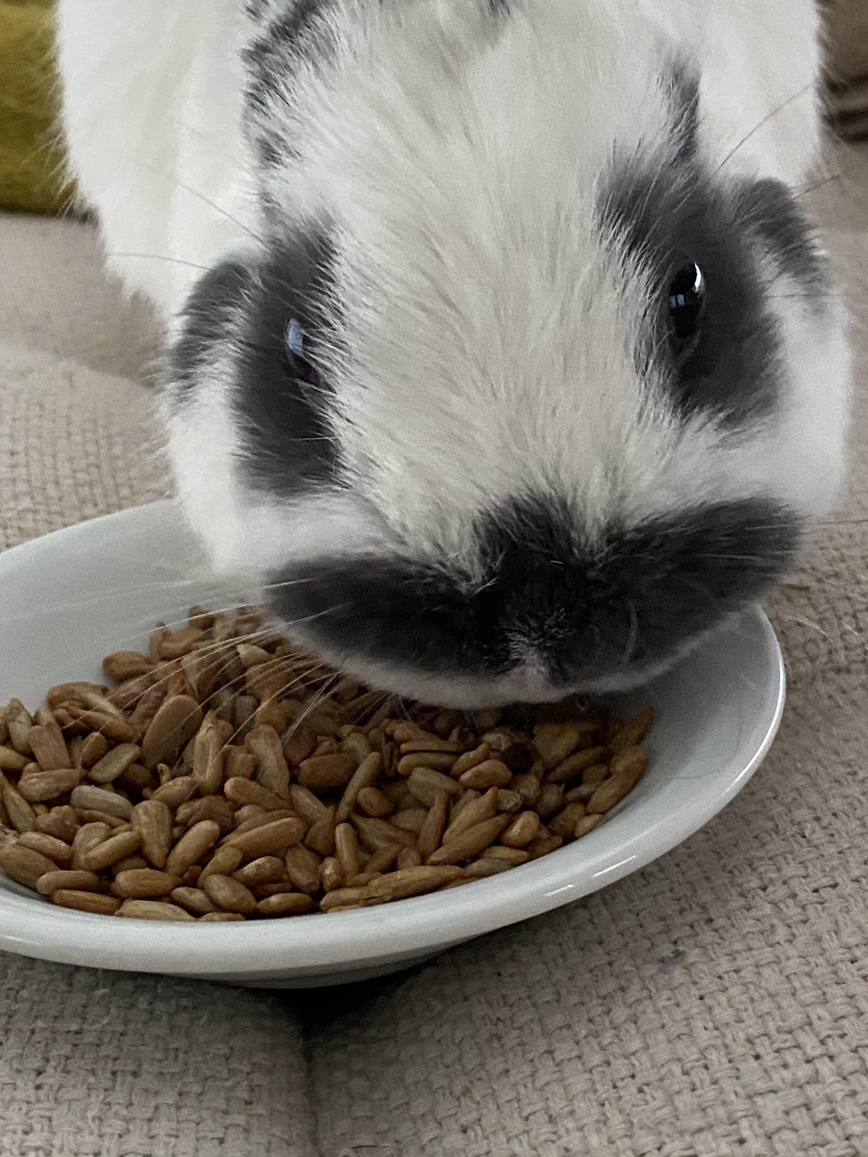 I thank for seed | Scrolller