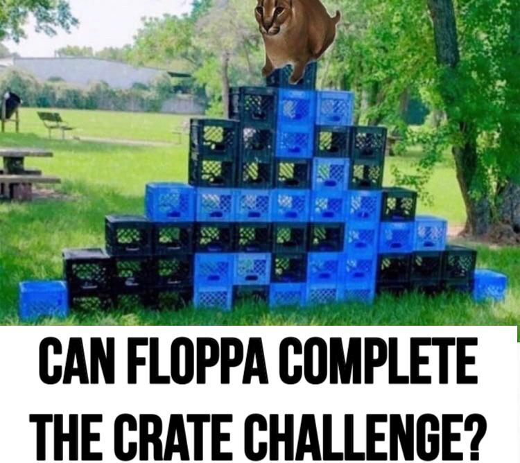 I think Floppa can do it | Scrolller