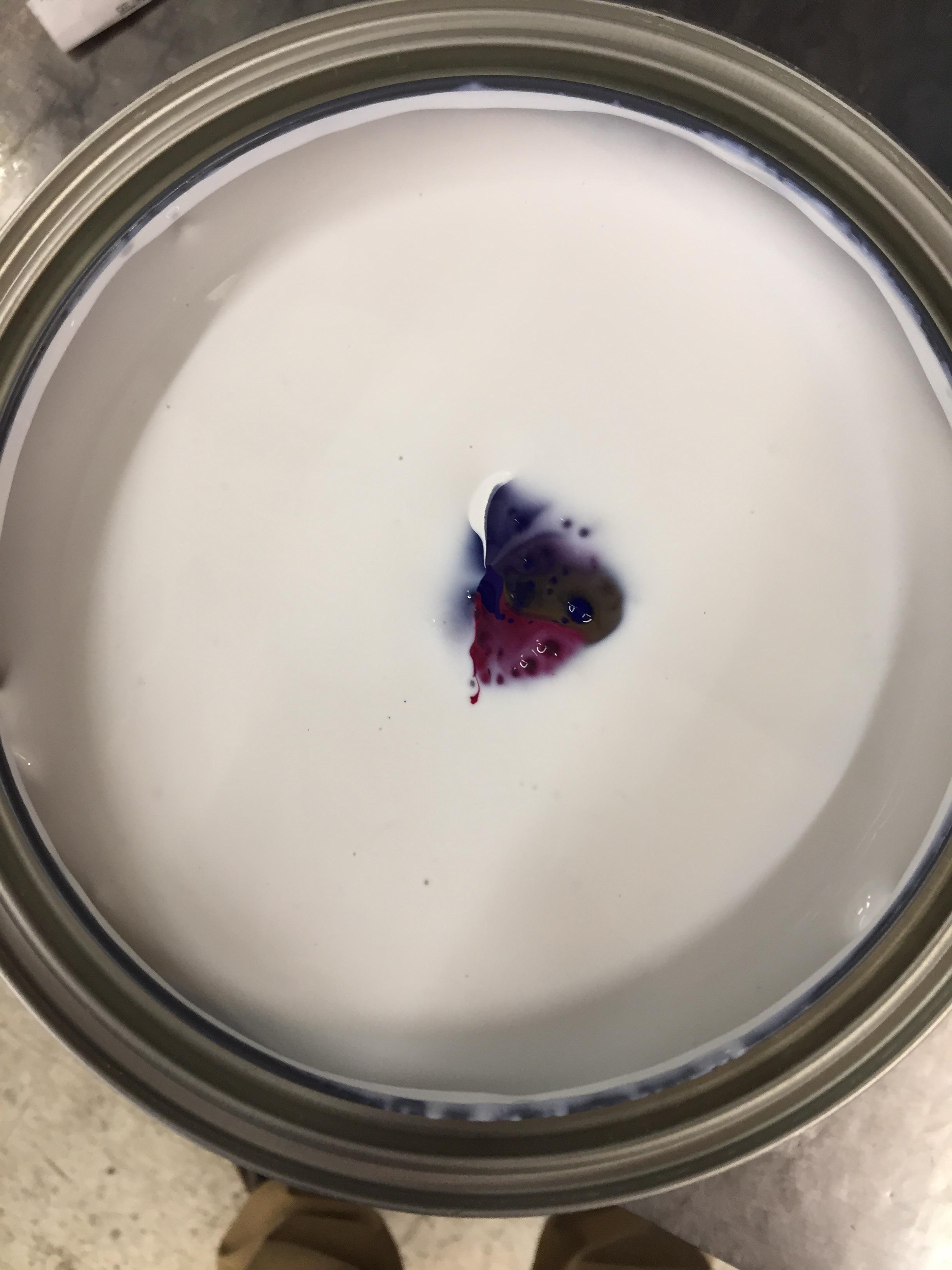 I think this one was ‘Endless Ocean’? | Scrolller