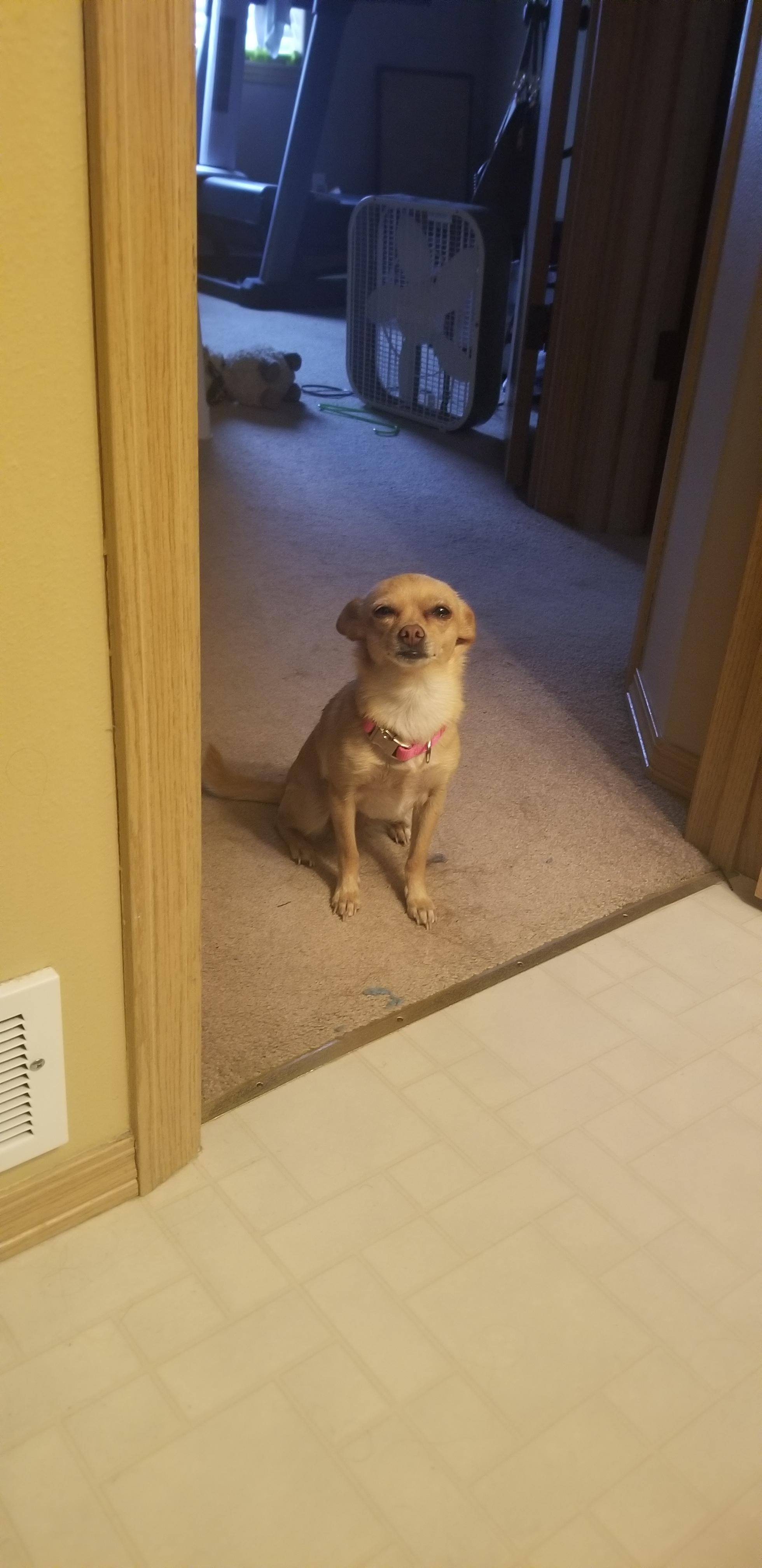 I tried to poop alone... | Scrolller