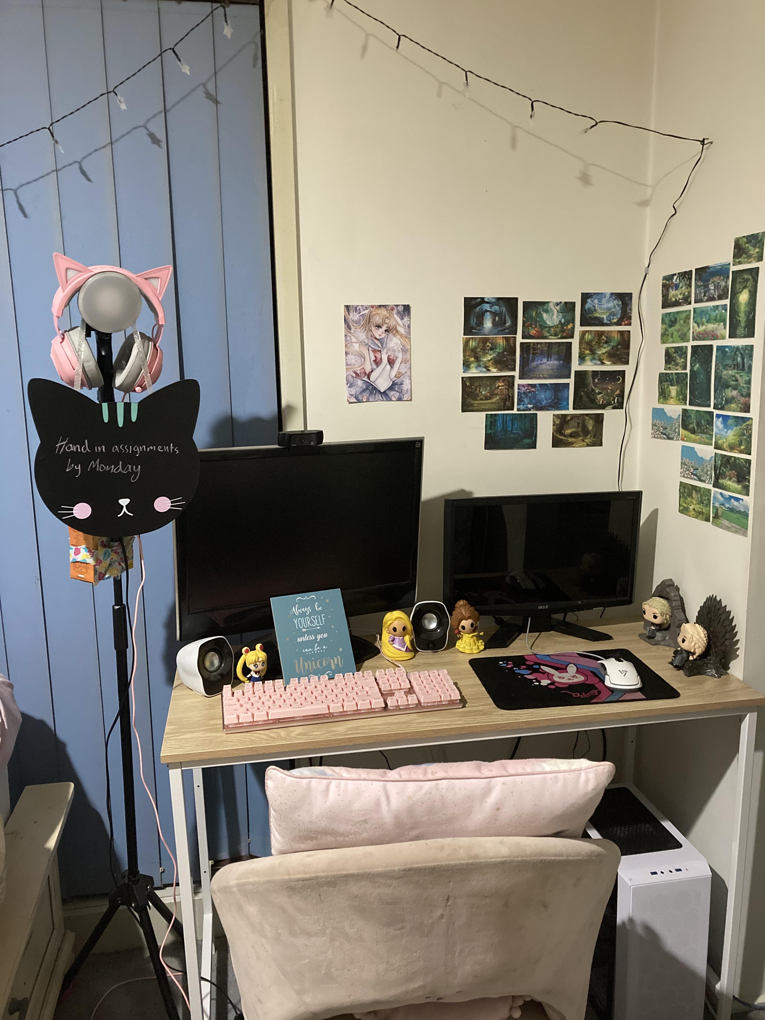 I’ve finally gotten my pc set up semi cute | Scrolller