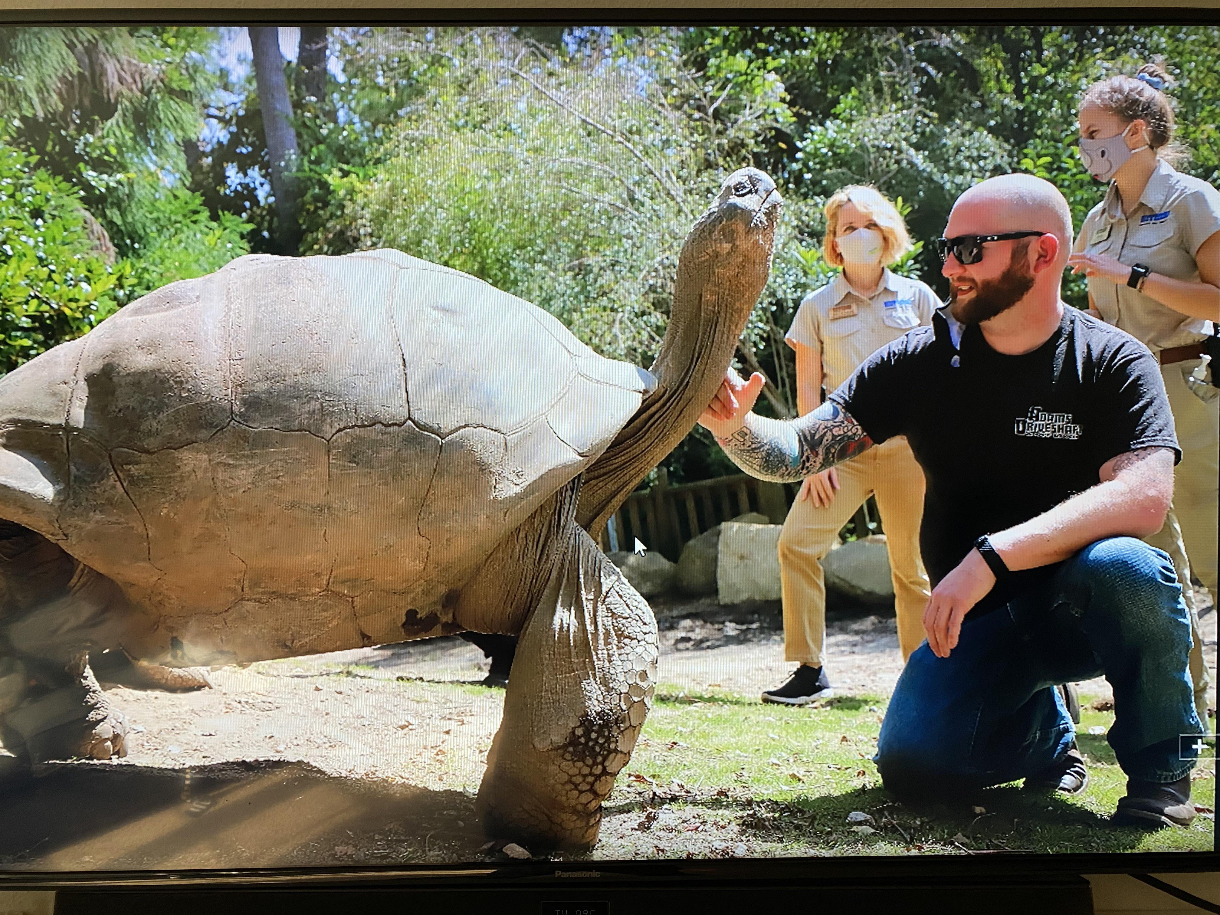 I vote Bravo as the Goodest boy | Scrolller