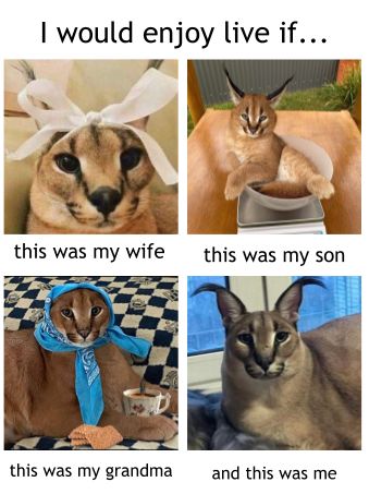 This Floppa meme was made in Powerpoint. | Scrolller