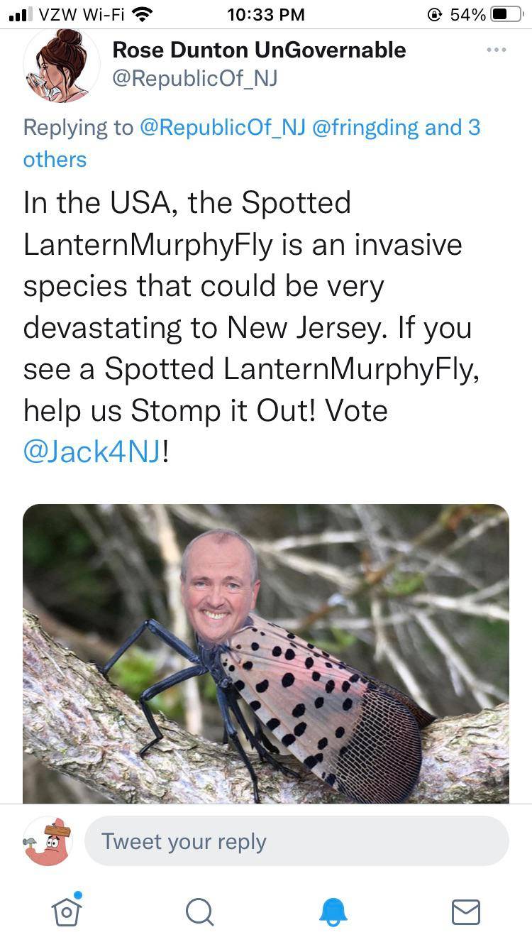 IF YOU SEE IT STOMP IT: Spotted Murphy fly | Scrolller