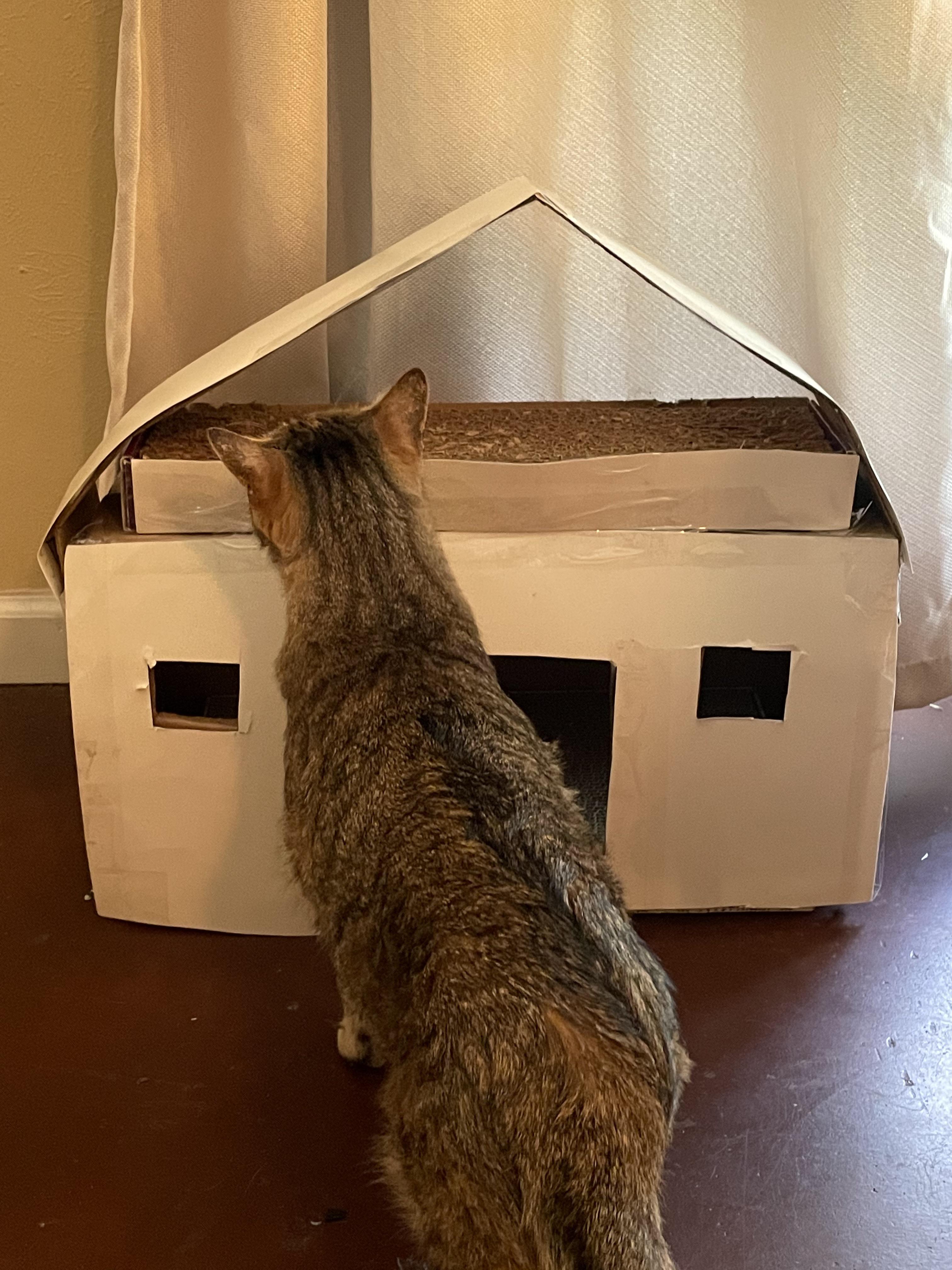 If you want a custom made cat house that will keep your cats away, look ...