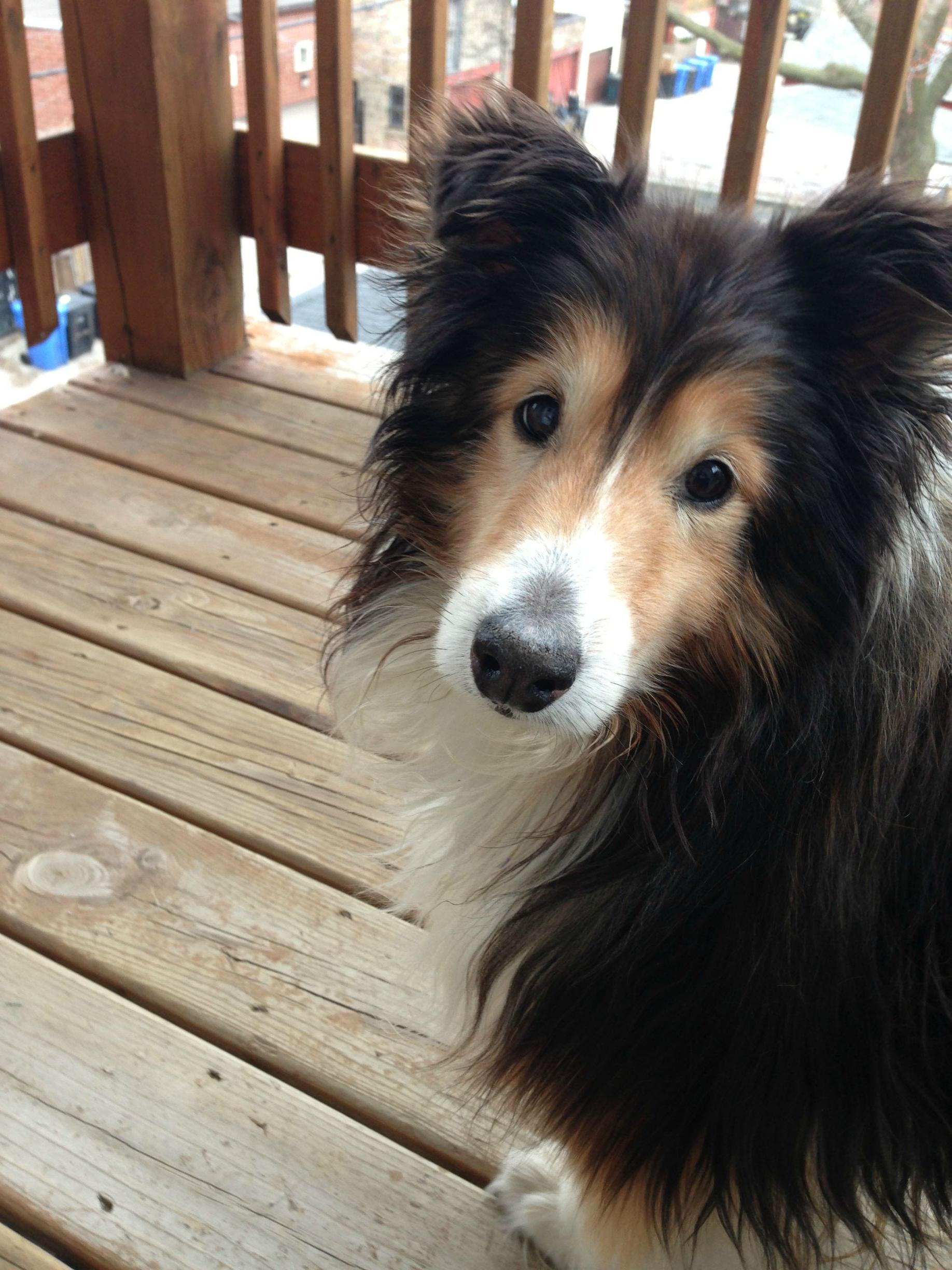 I'll miss you, buddy! | Scrolller