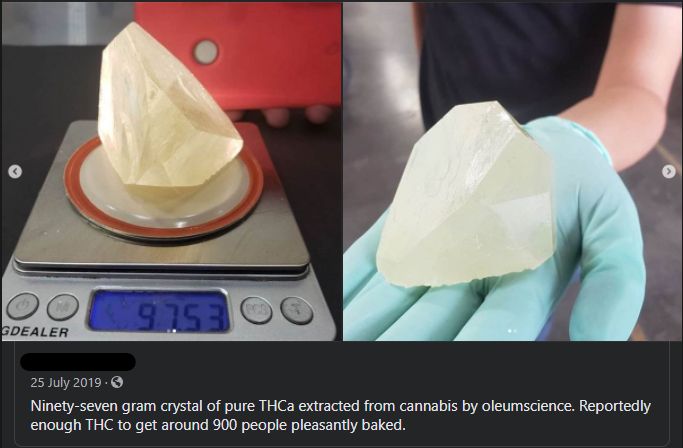 "I'll take 2" - Joey Diaz | Scrolller