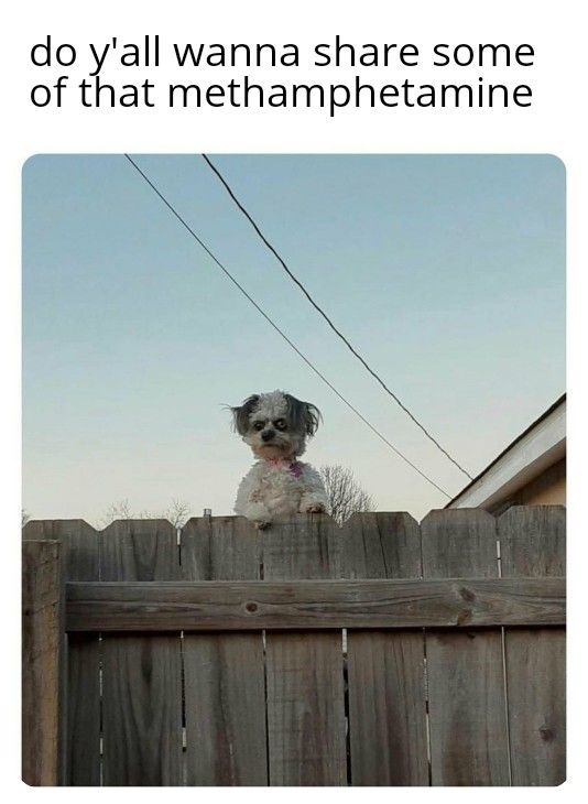 I'll take 2 please | Scrolller