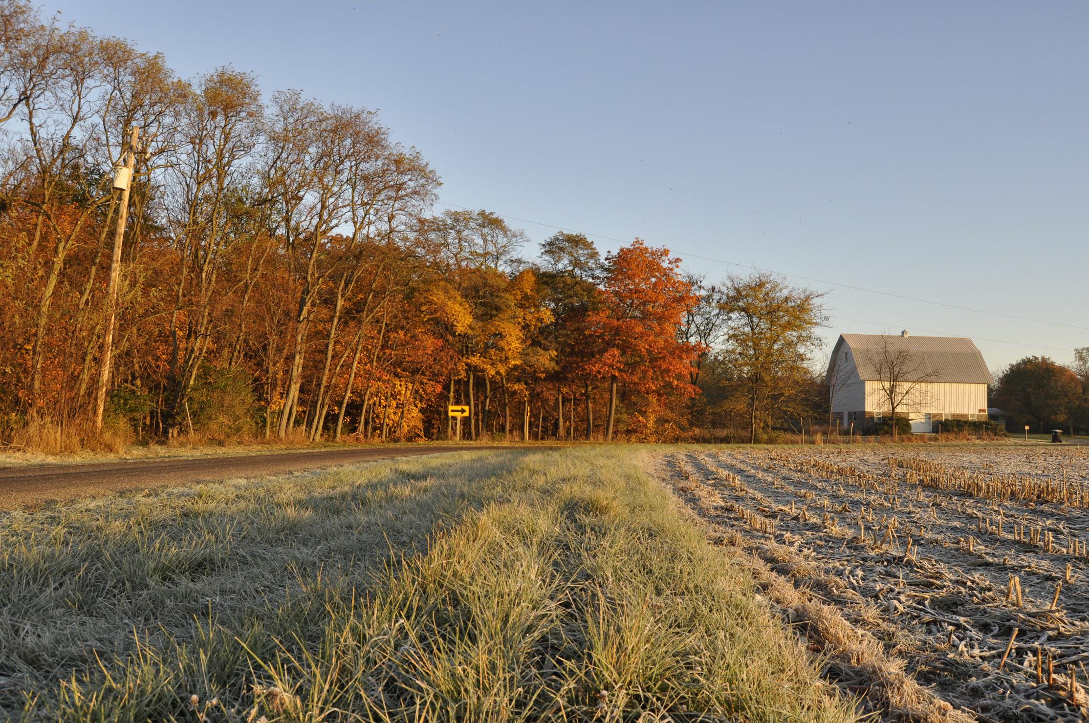 Illinois Autumn | Scrolller