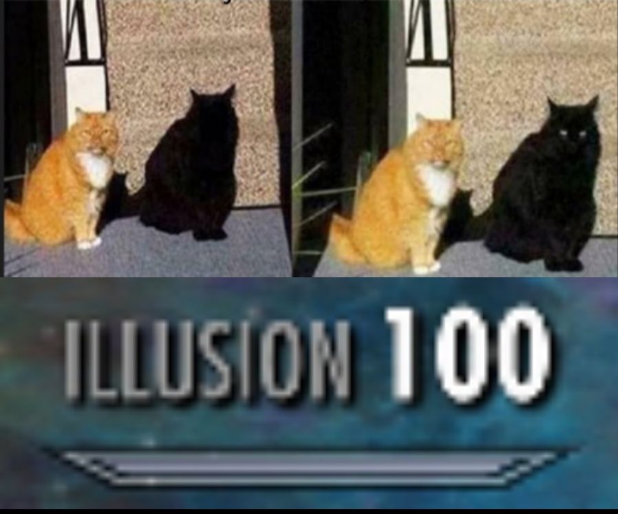 Illusion 100 | Scrolller
