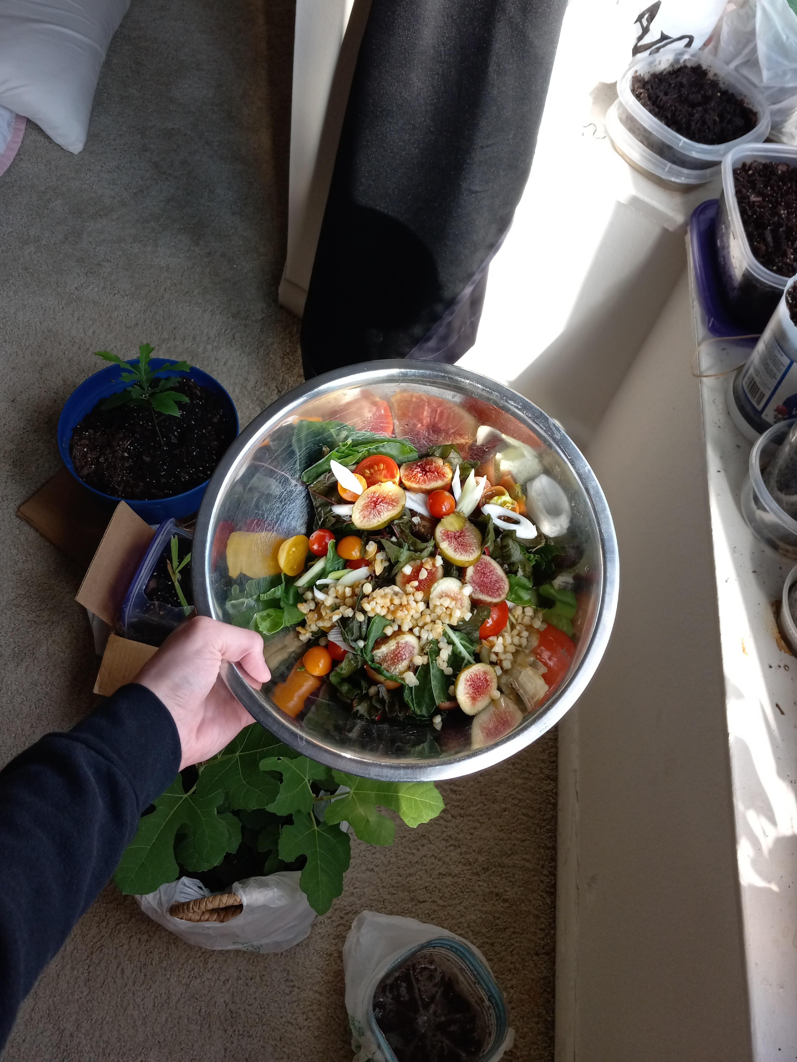 I'm drunk for the first time in a month and this is my garden salad. | Scrolller