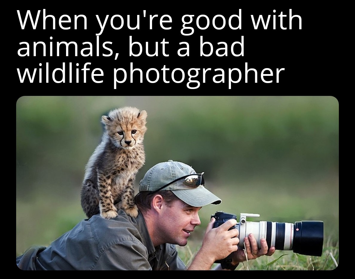 I'm jealous... | Scrolller