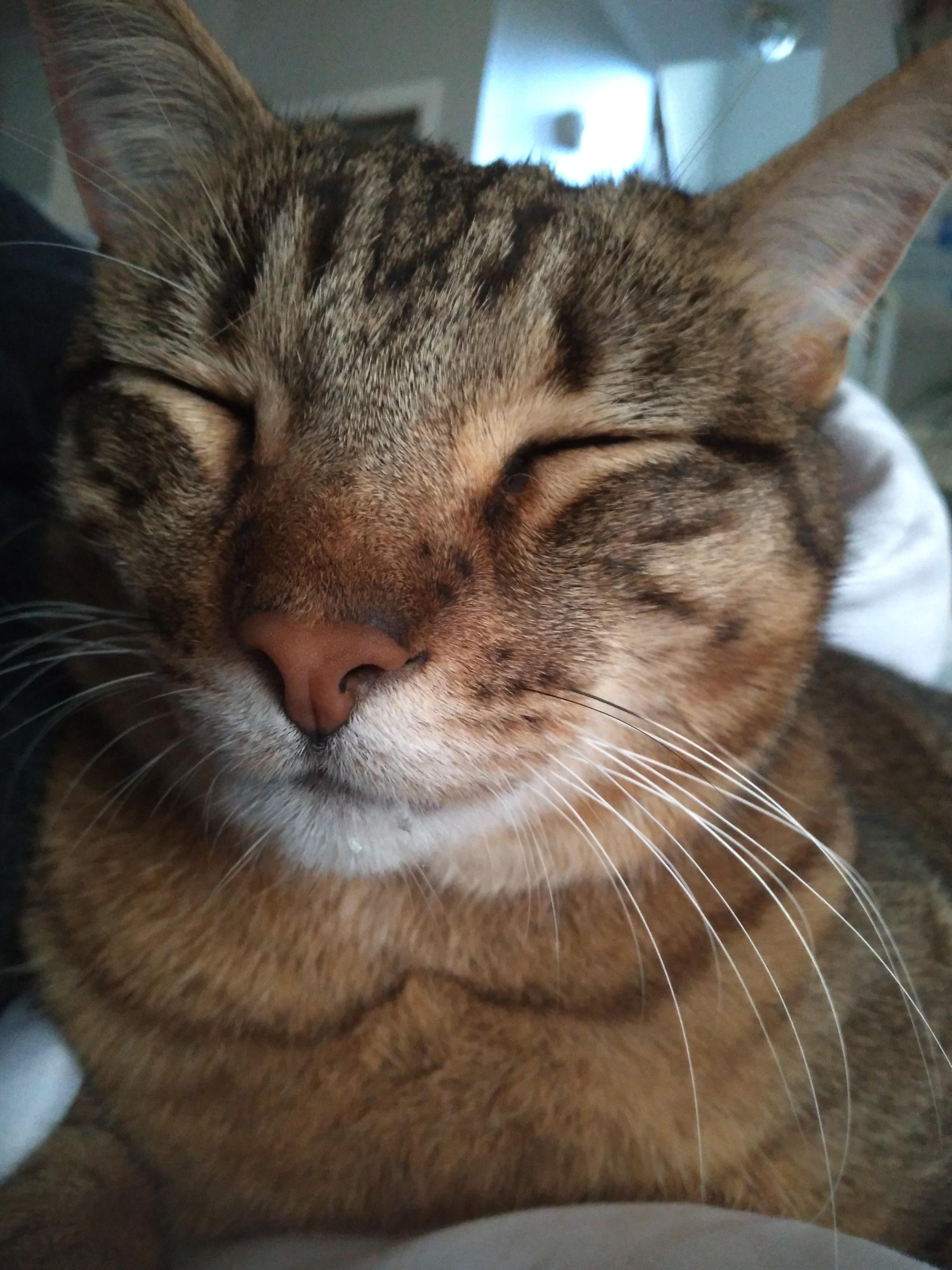 I'm jealous of how relaxed he looks | Scrolller