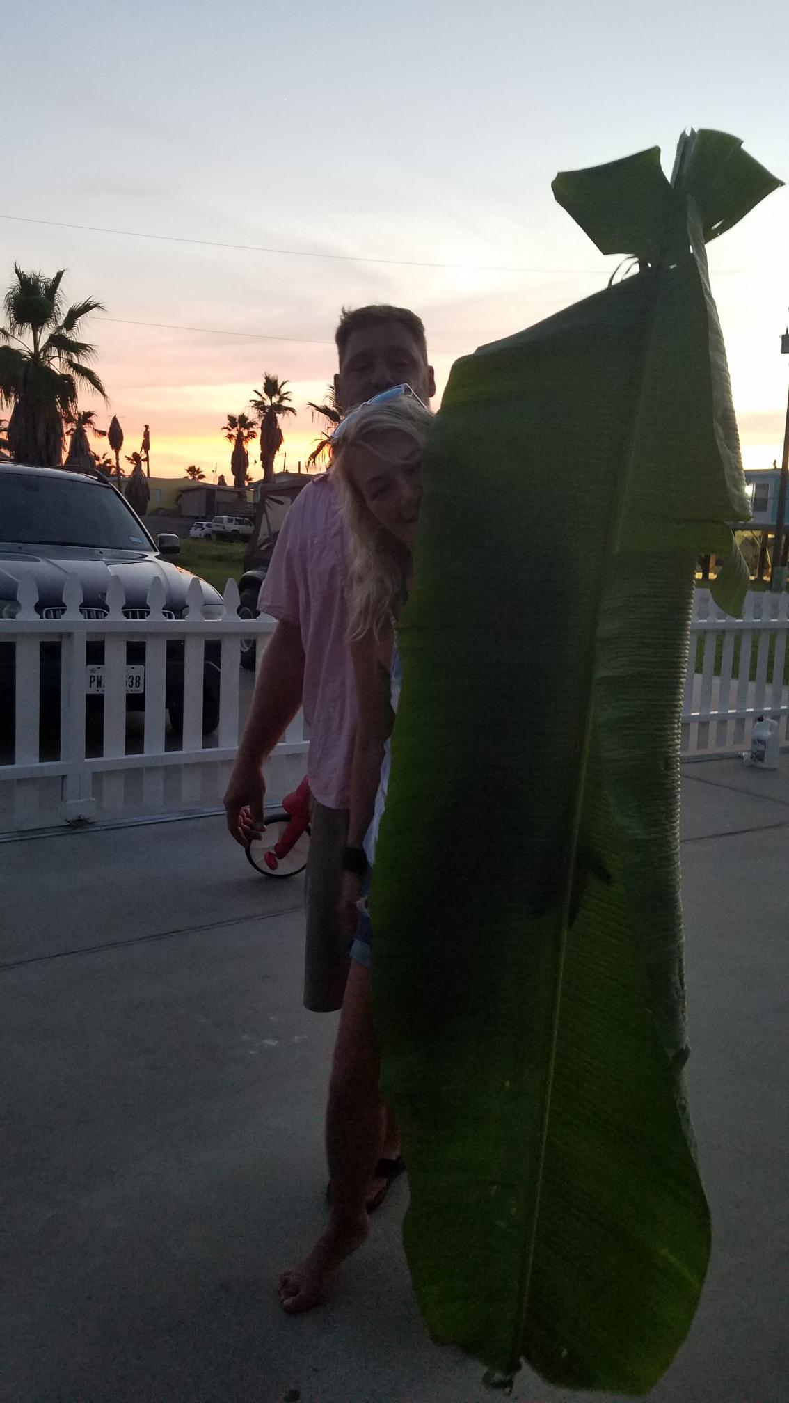 I'm just going to leaf this here.. | Scrolller