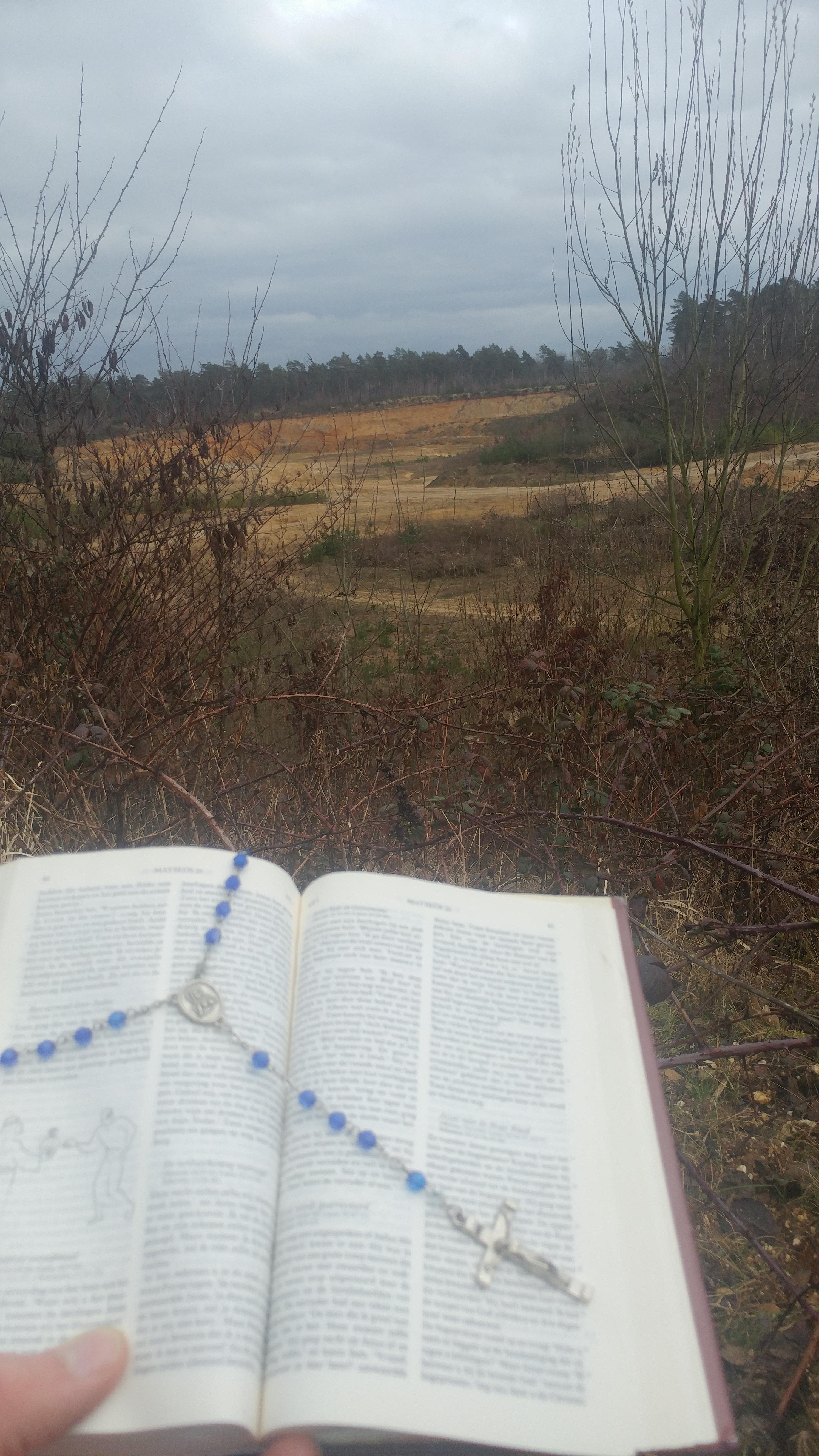 I'm learning to pray the rosary. How do I meditate on the misteries? | Scrolller