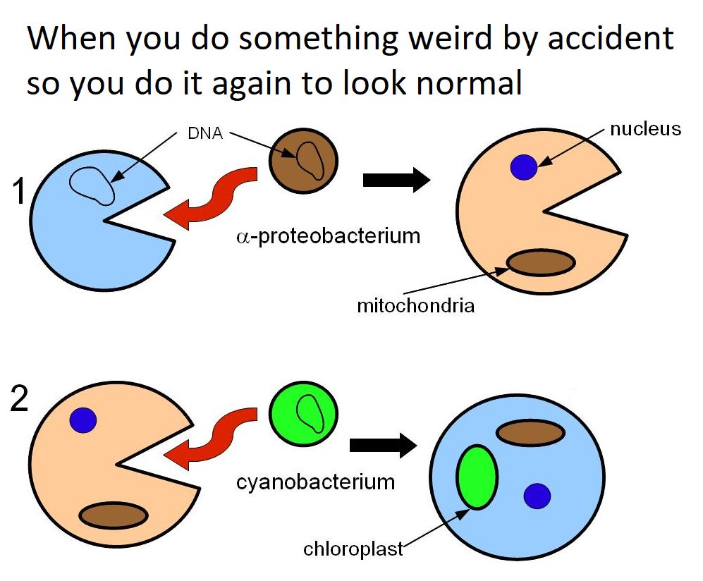 I'm pretty sure this is how it actually happened. | Scrolller