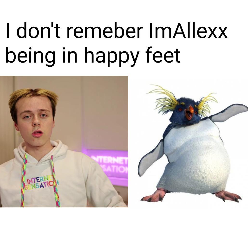 ImAllexx was my favourite penguin | Scrolller