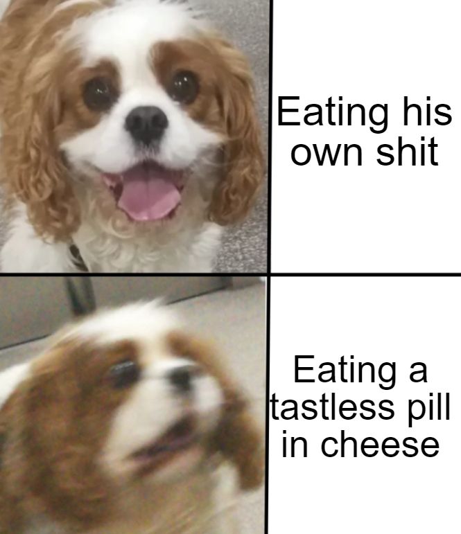 improved the meme with a better format | Scrolller