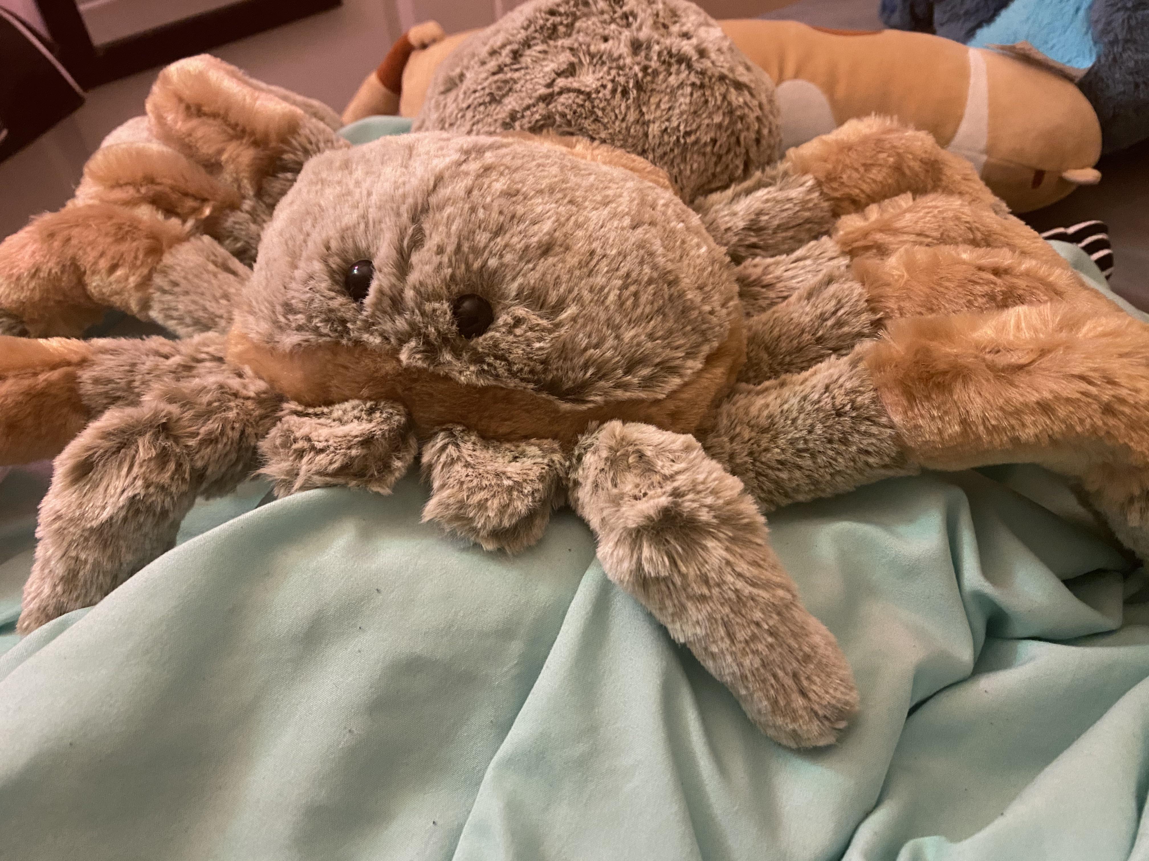 impulse buy ^_^ new tarantula stuffie! | Scrolller