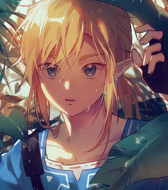 In the forest | Scrolller