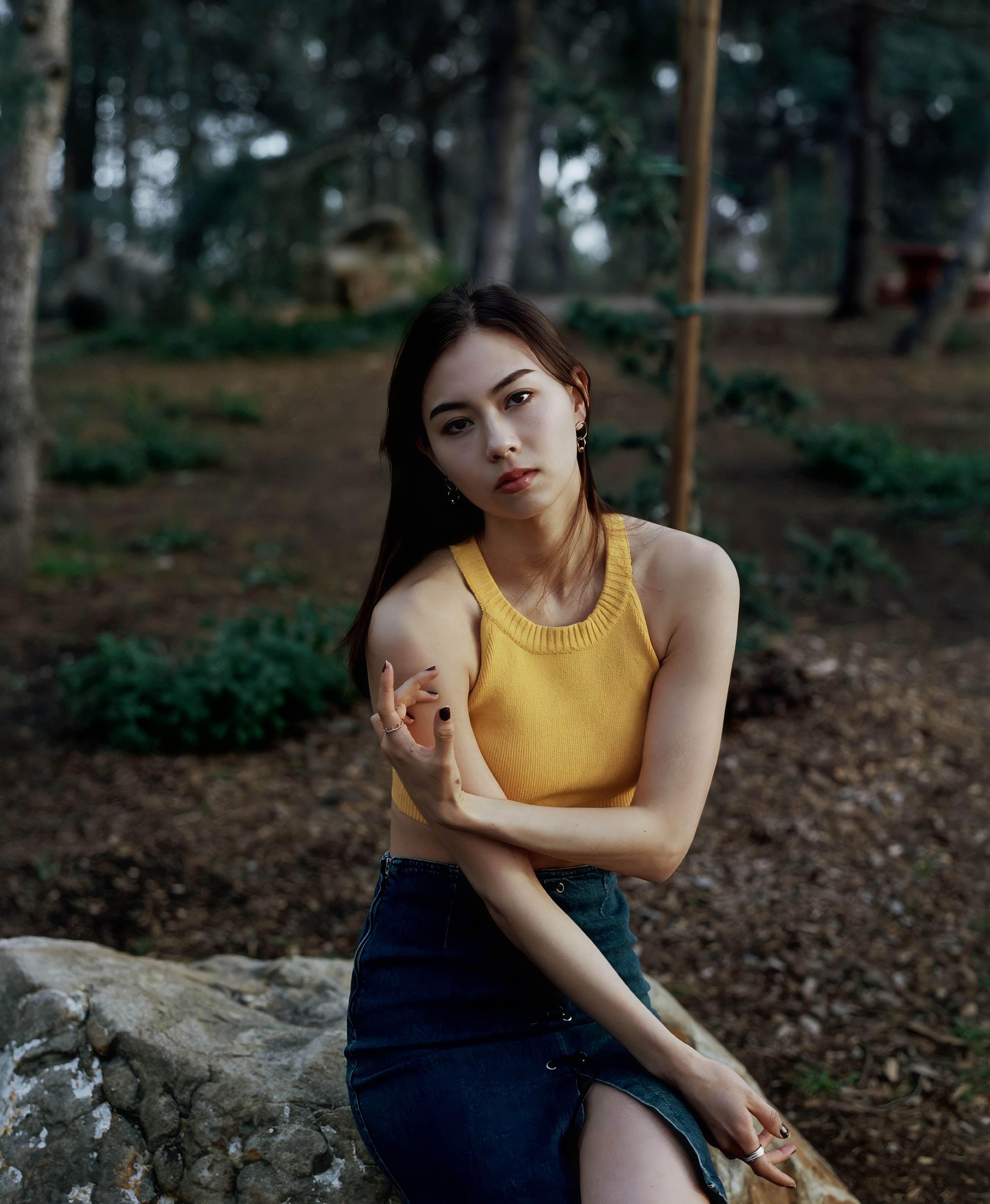 In the wood | Scrolller