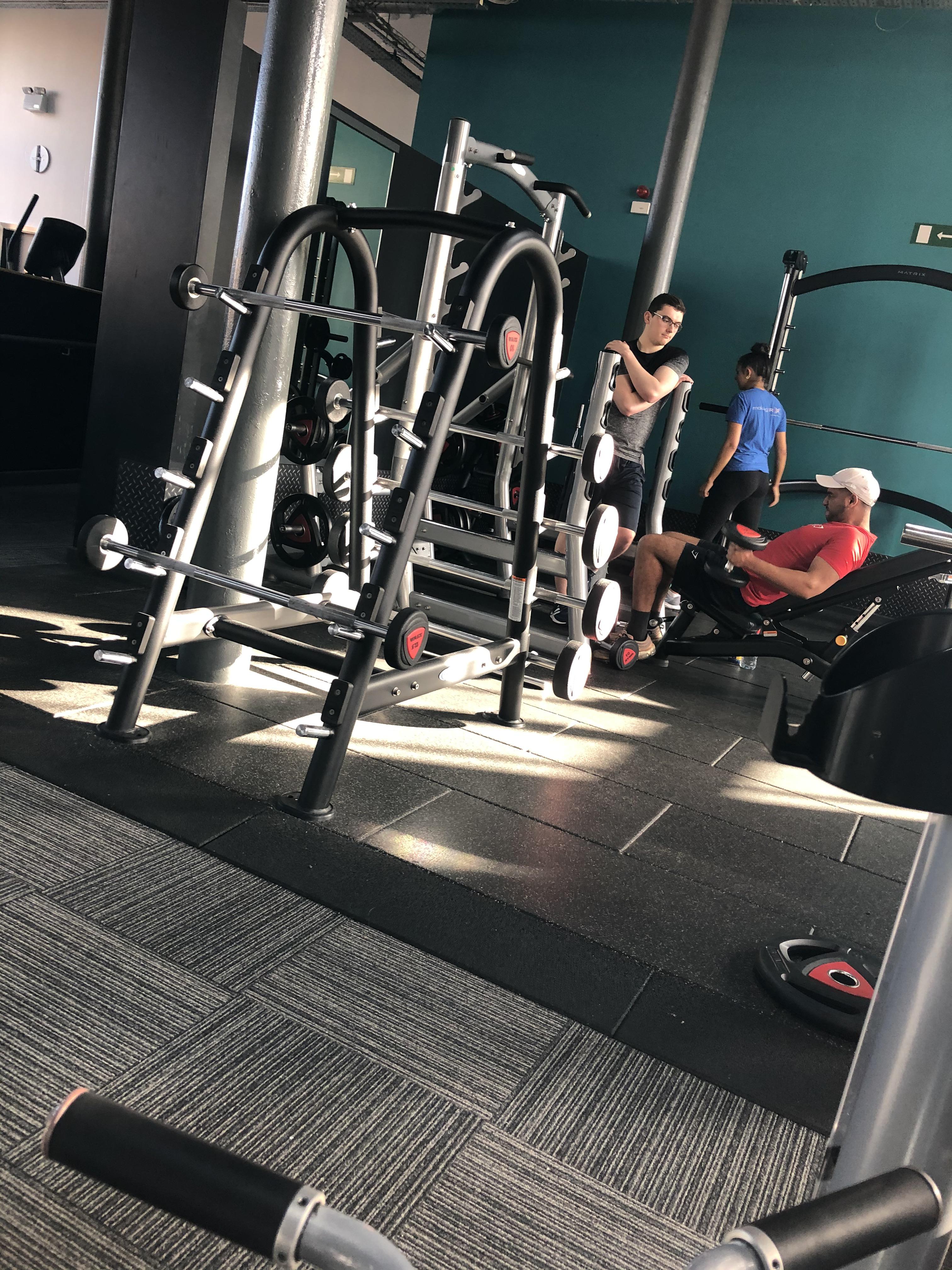 Incline curls in the squat rack | Scrolller