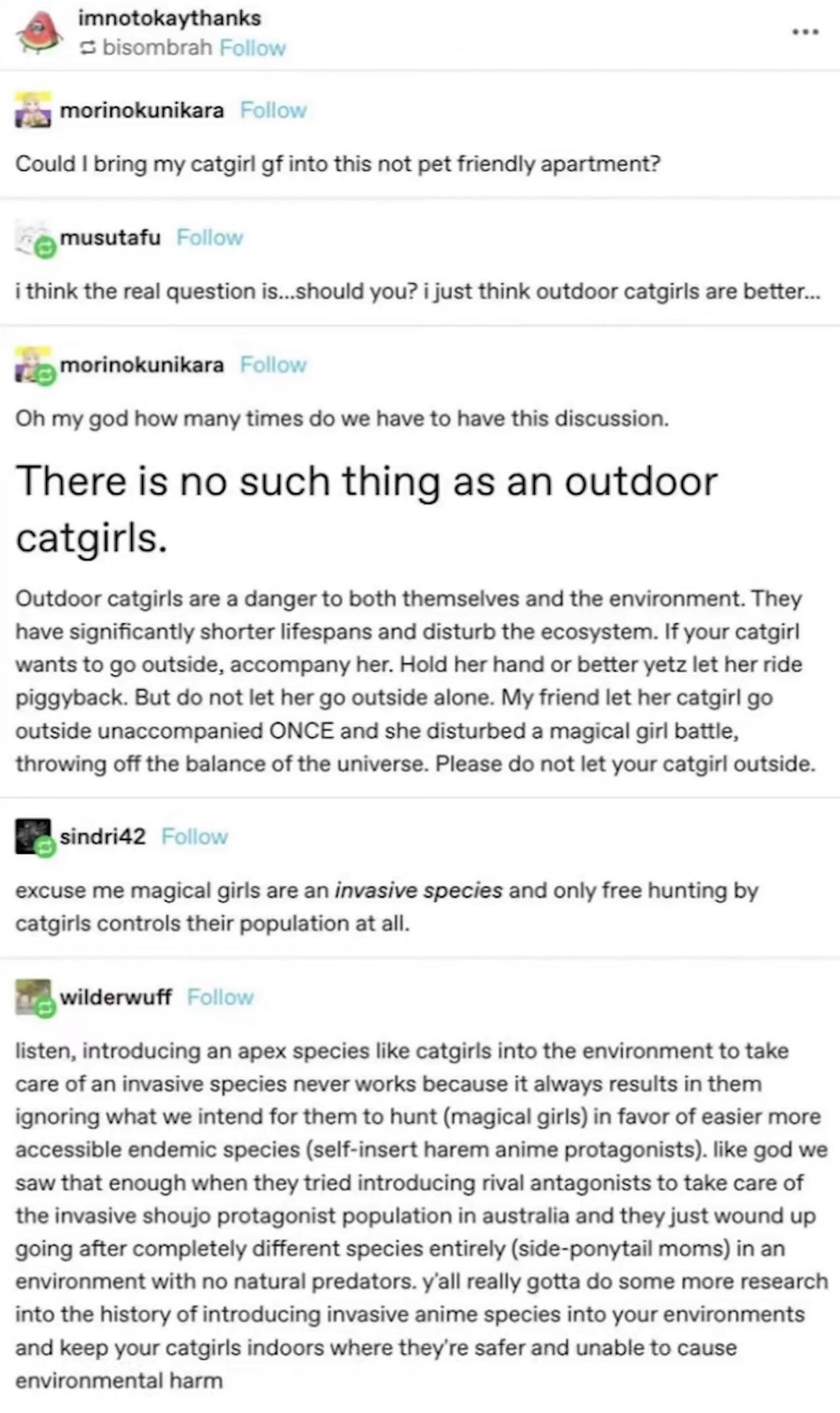 Indoor vs. outdoor catgirls | Scrolller