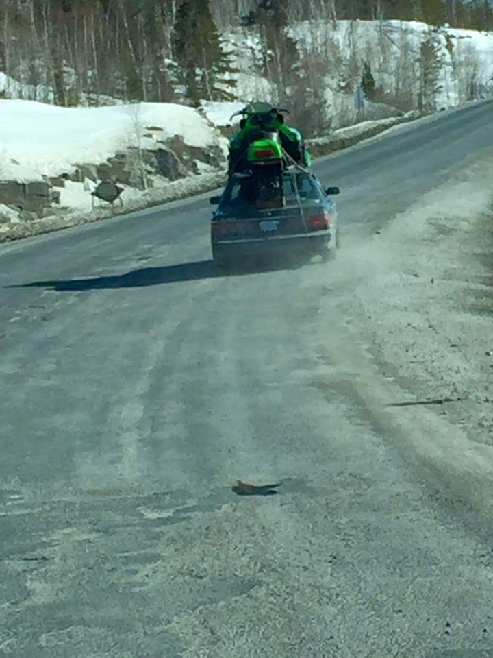 Ingraham Trail | Scrolller
