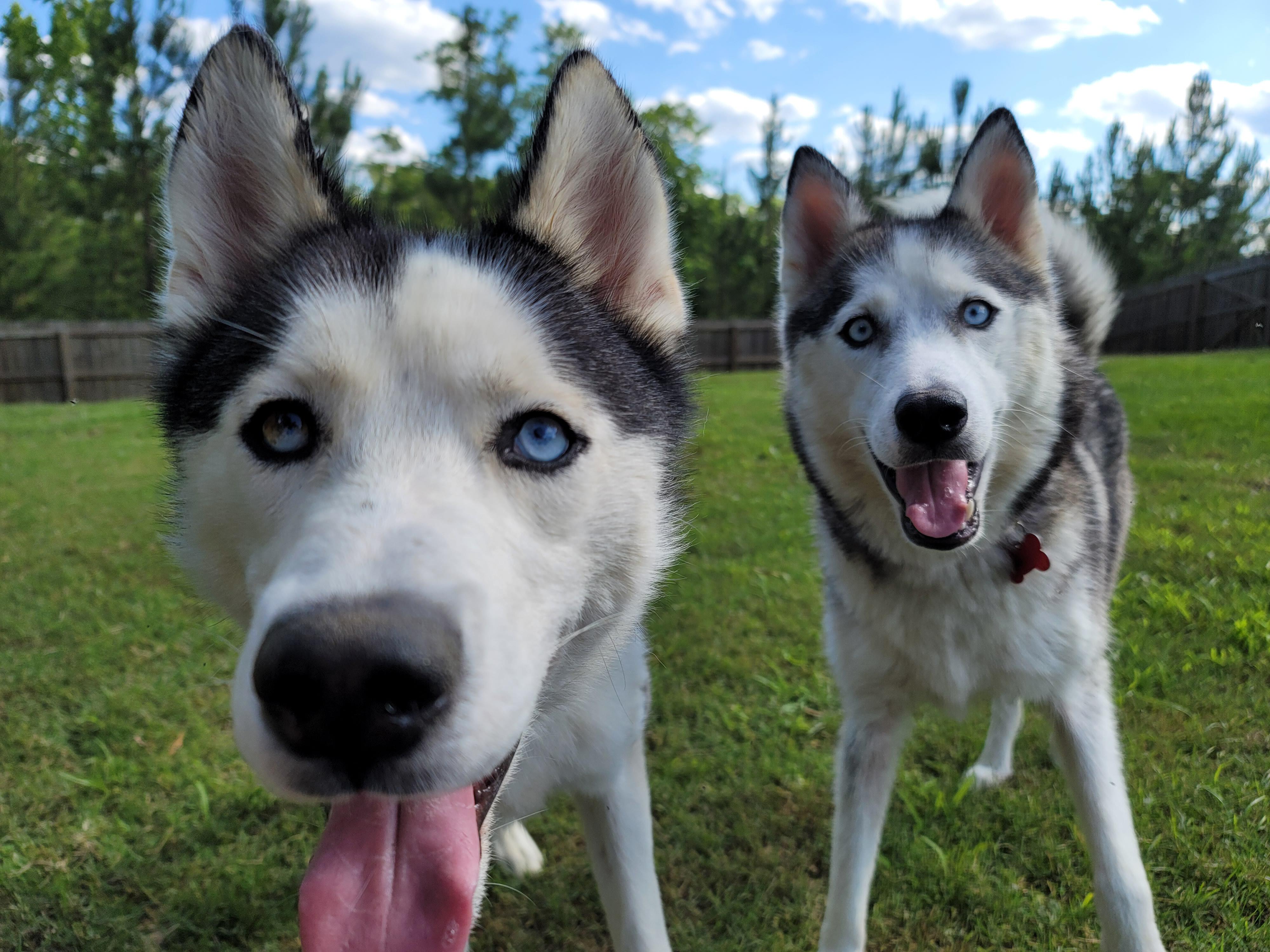 Initiate zoom sequence | Scrolller