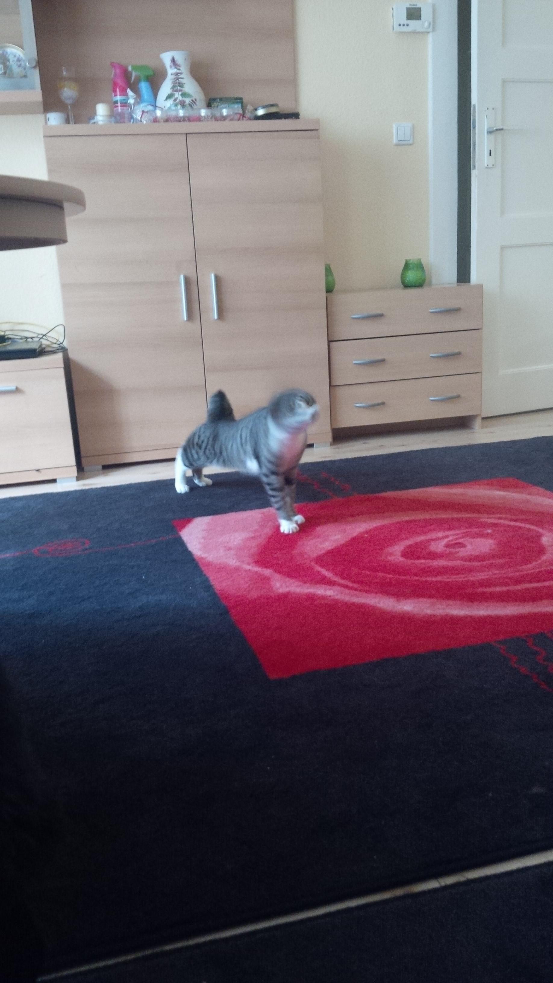 INITIATING MAXIMUM OVERDRIVE | Scrolller